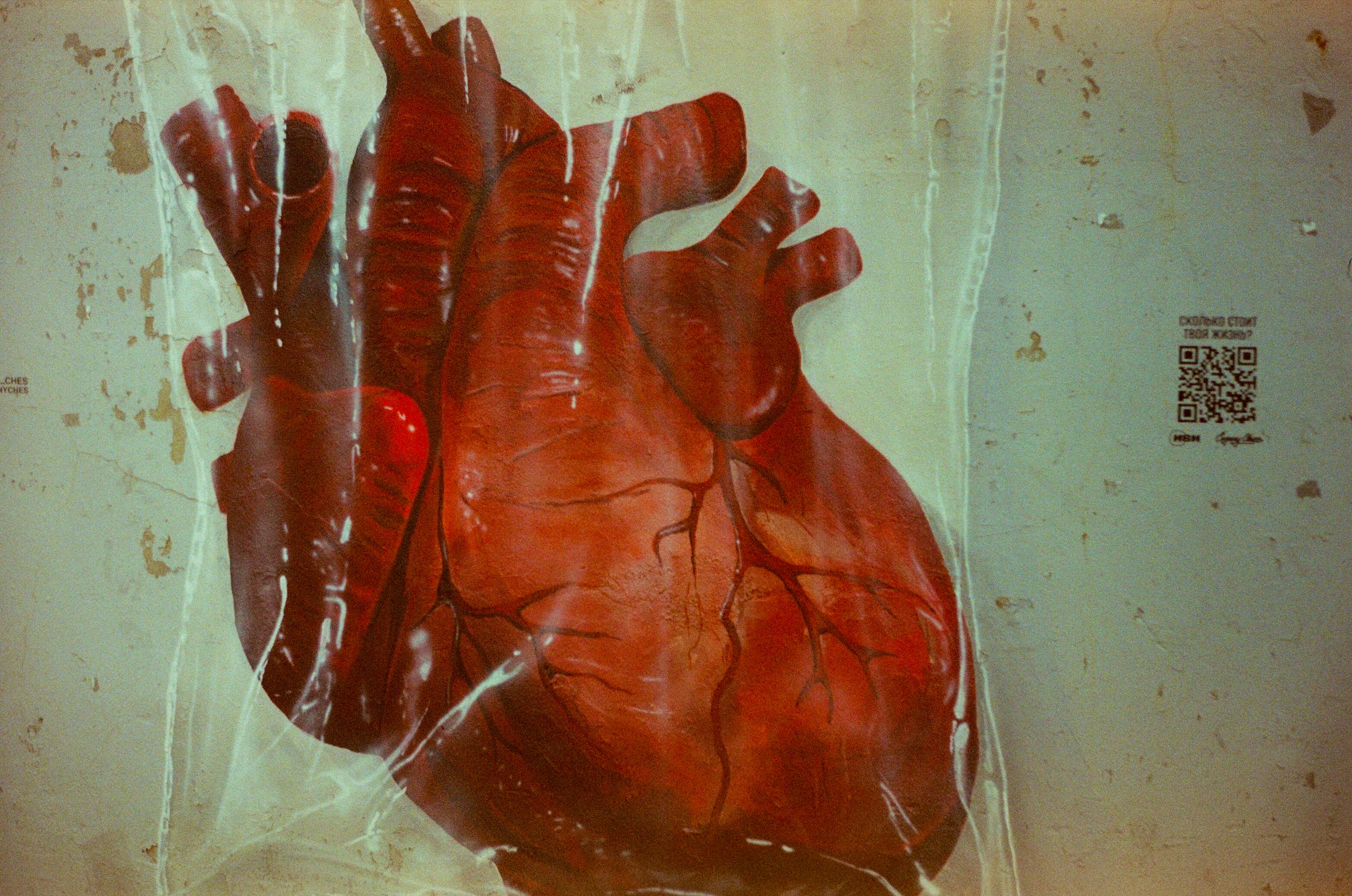 A close‑up film photograph of a street‑art heart sealed inside a plastic bag, painted on a grey concrete wall. The image features cold blue tones with a warm, subtle glow around the edges, adding a surreal and melancholic mood to this conceptual urban artwork