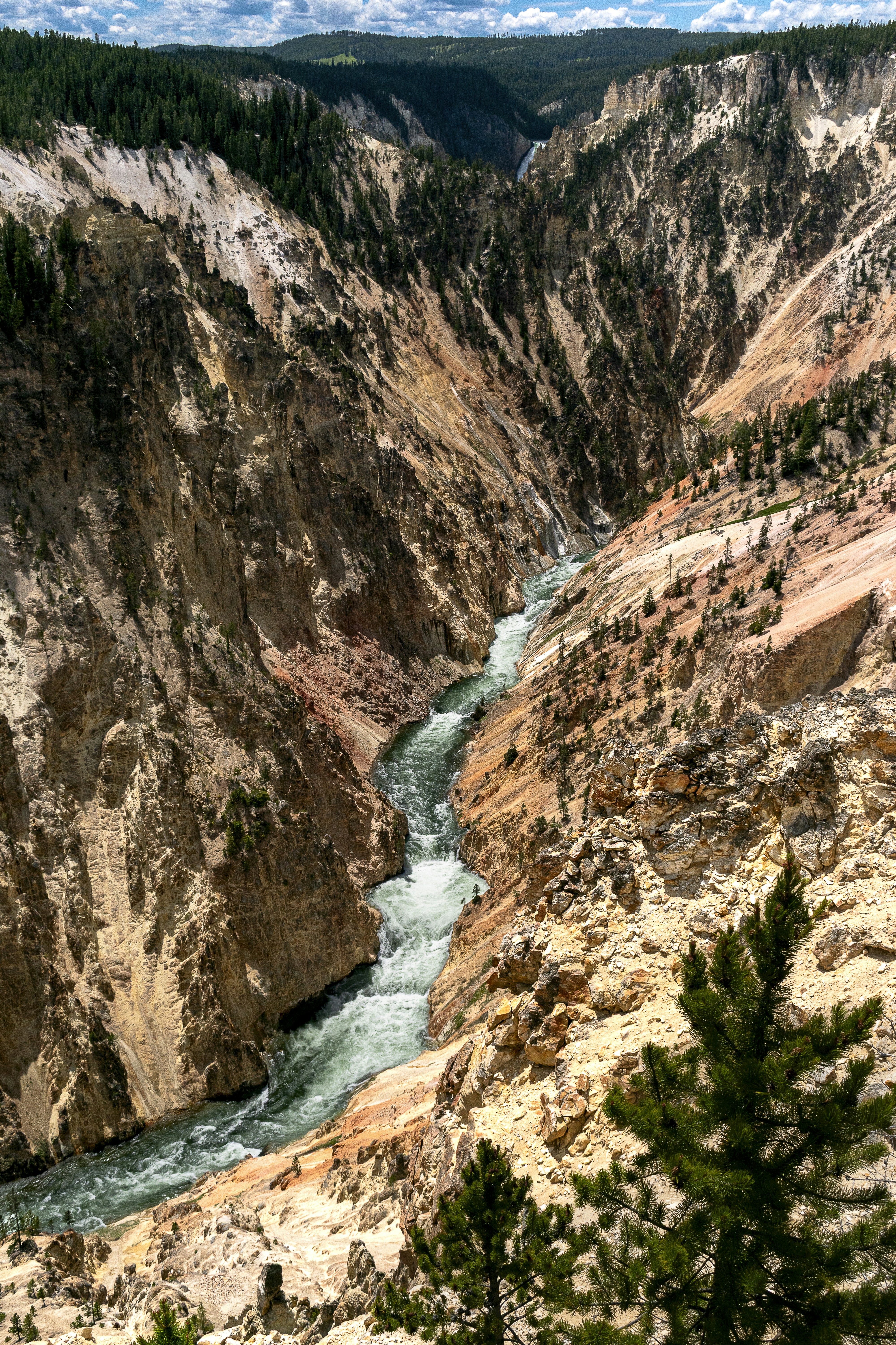 Stone Choir of the Canyon: A Ribbon of River Through Painted Cliffs