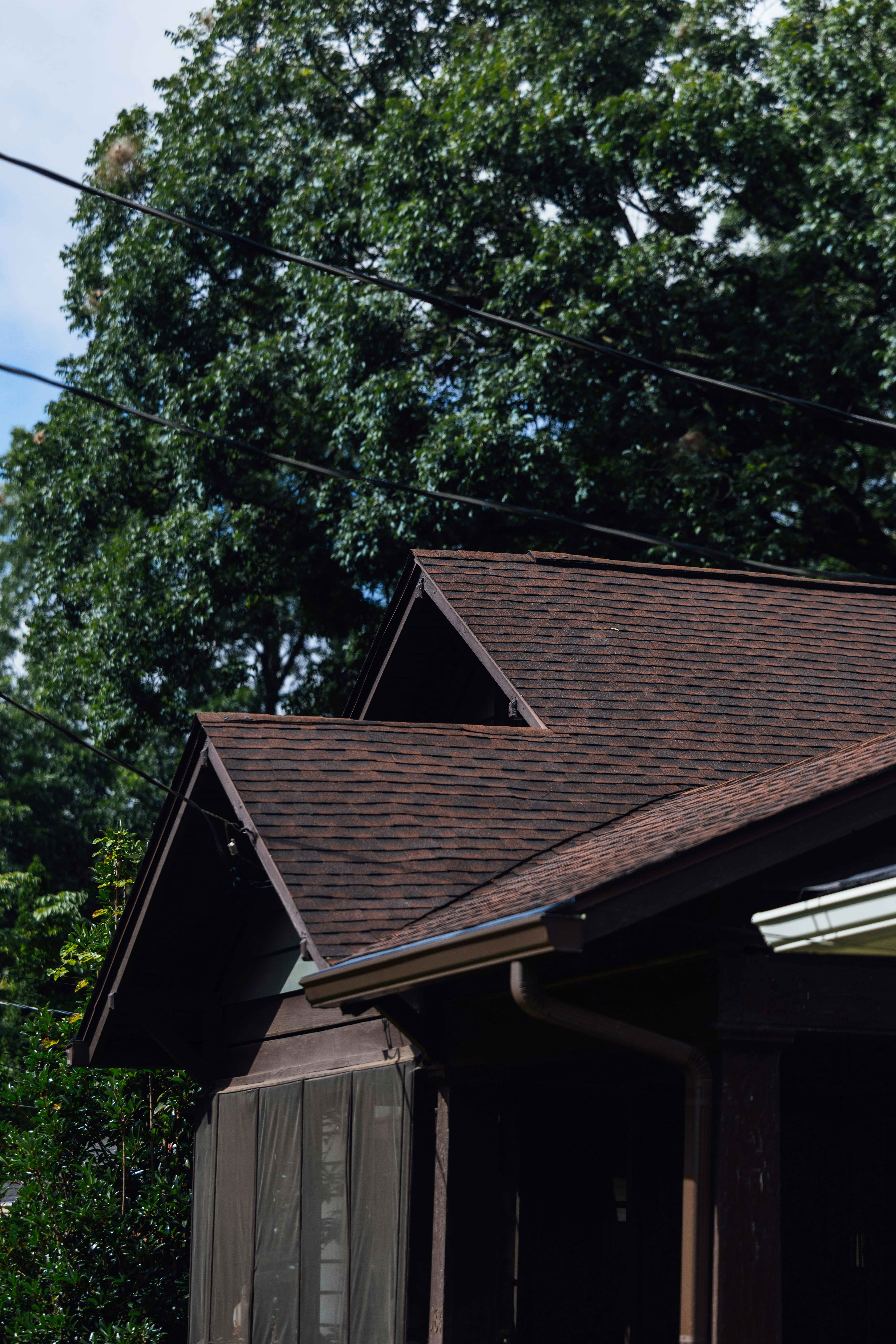 Sunlit Roof Peaks under a Quiet Canopy