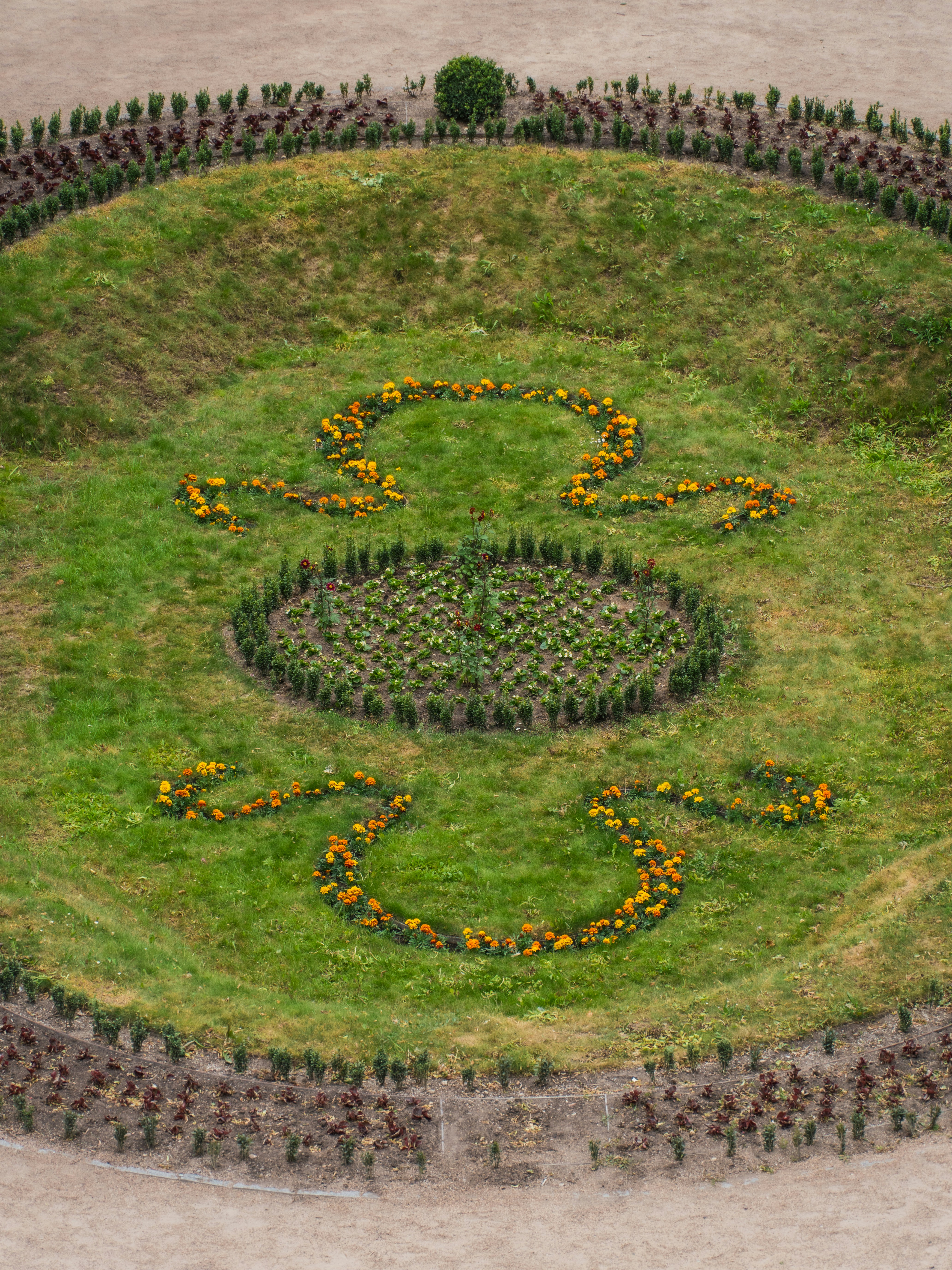 Top-Down Bloom: A Circular Garden Artwork from Above