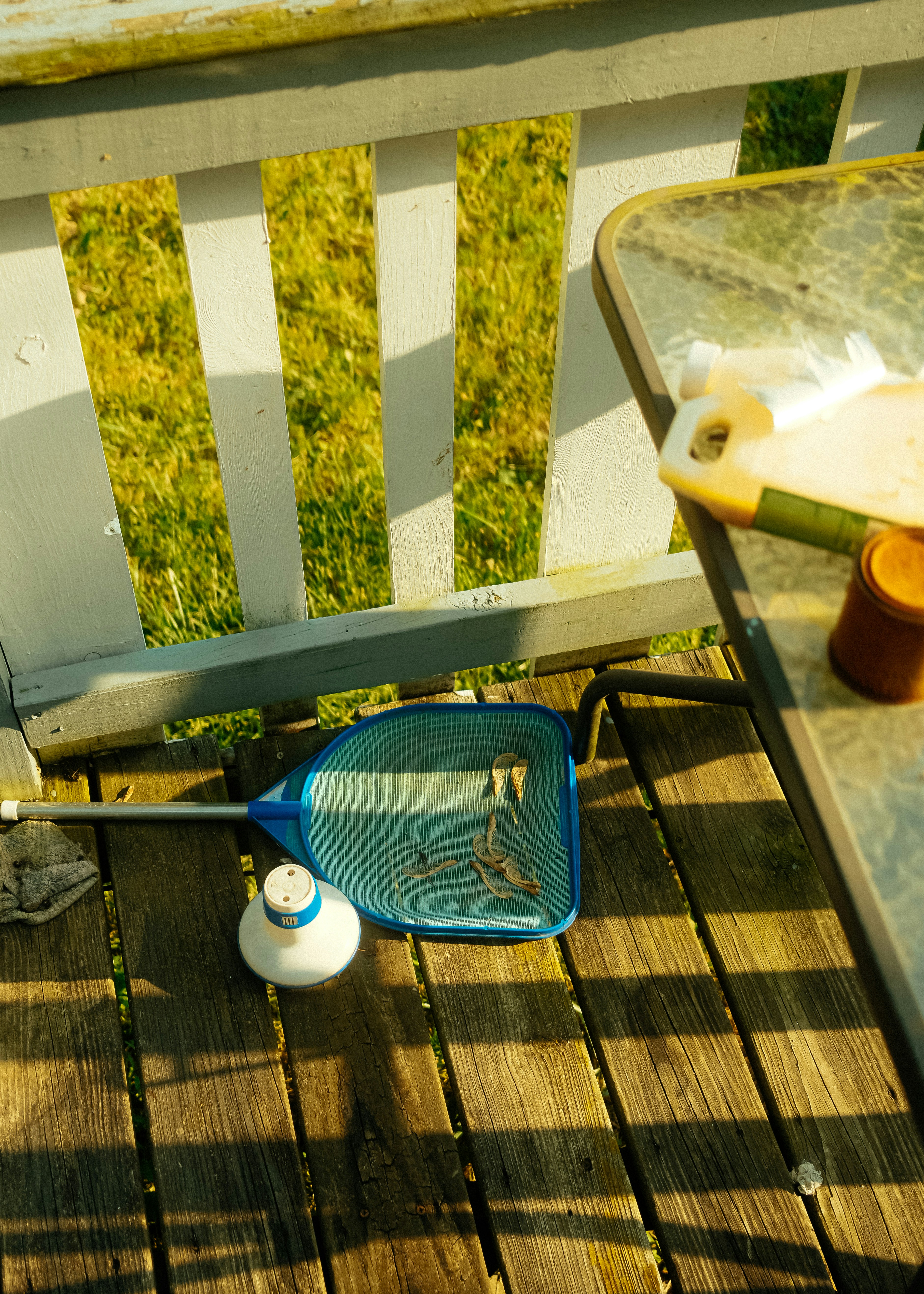 Sunlit deck with a blue leaf net, a white propane bottle, and a glass-top table featuring scattered outdoor tools and a warm, golden glow.