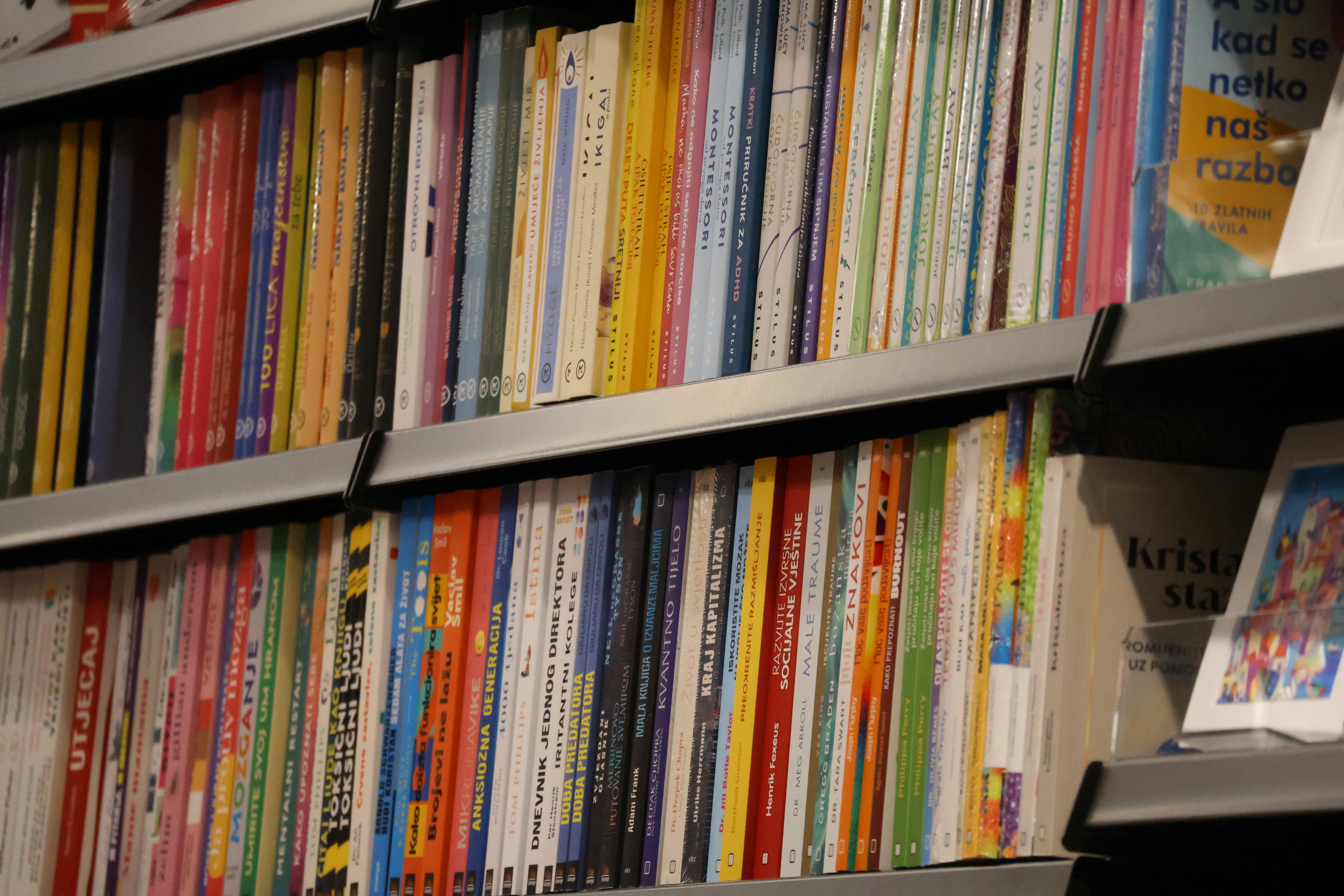 Shelf of Stories: A Rainbow of Spines on Library Aisles
