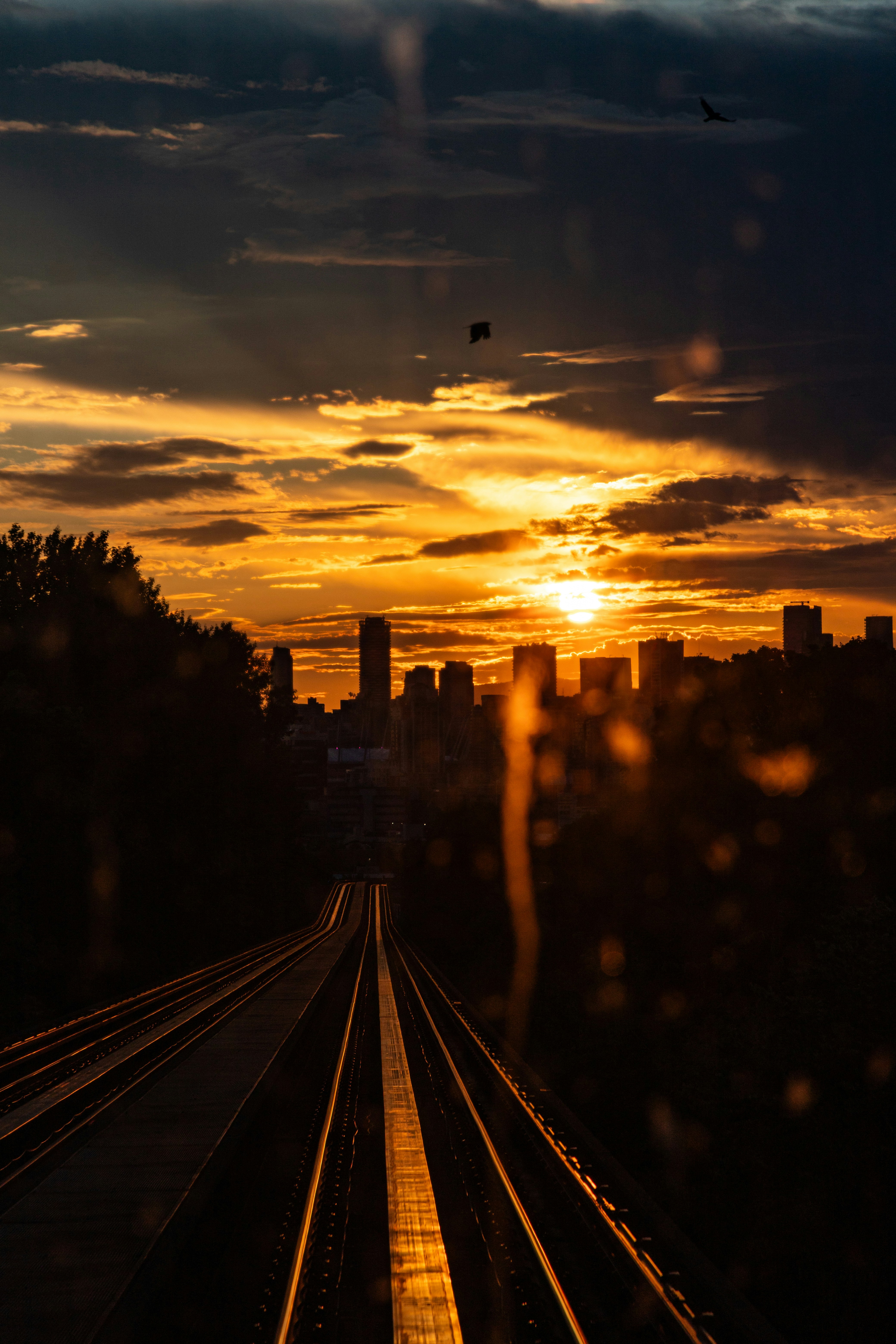 Sunset Rails: Golden Track Toward the City Horizon