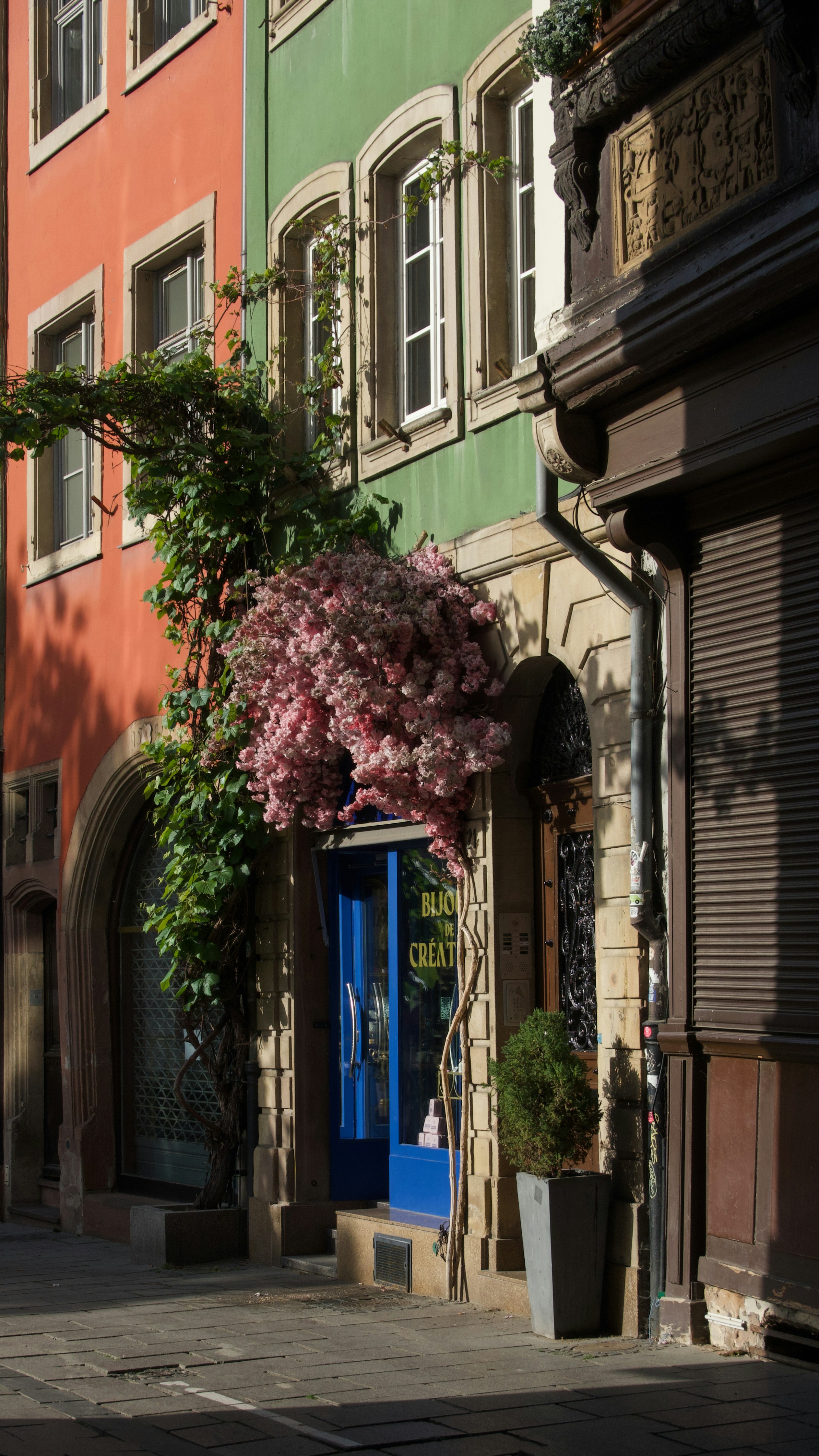 Azure Doorway Among Bougainvillea on a Sunlit European Street