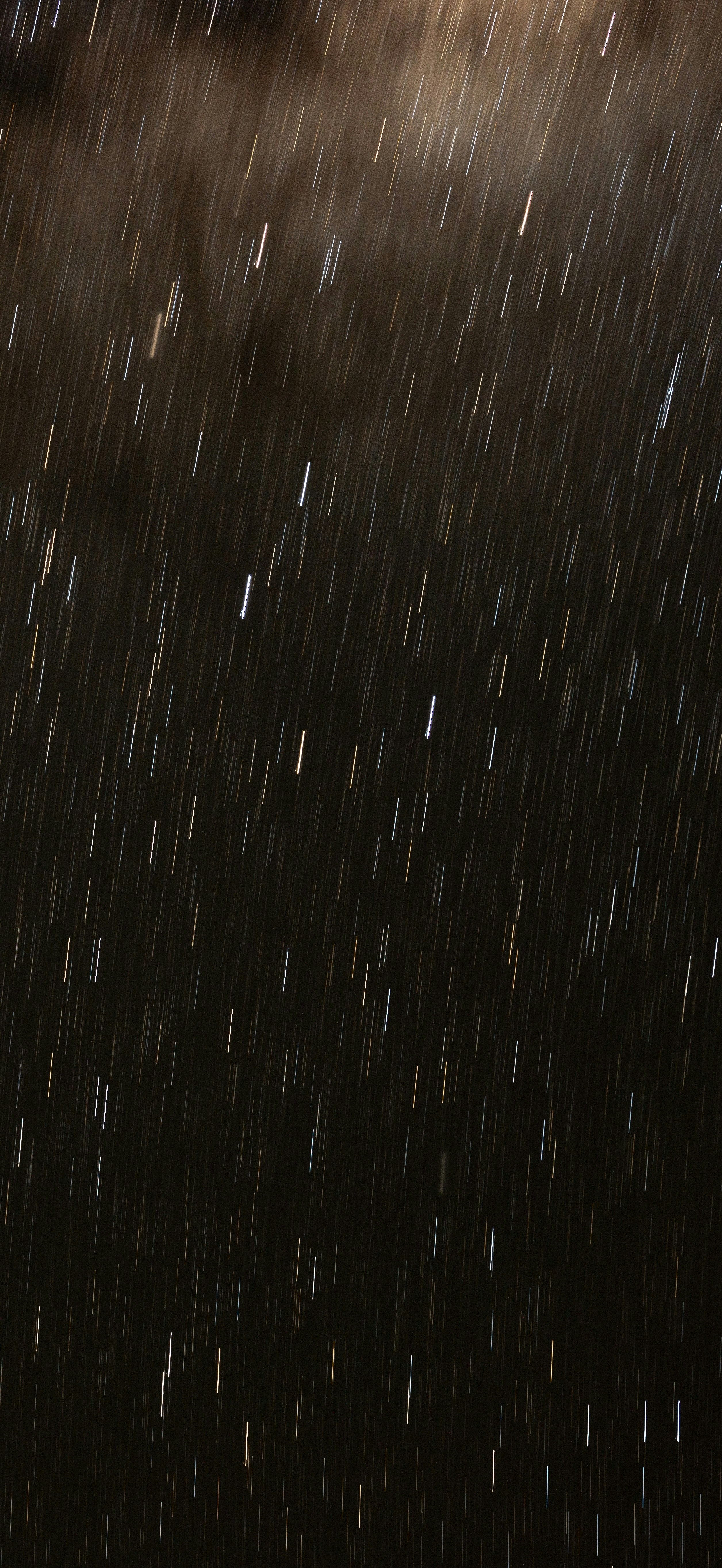 Starlight Traces: A Portrait of Night Skies in Motion