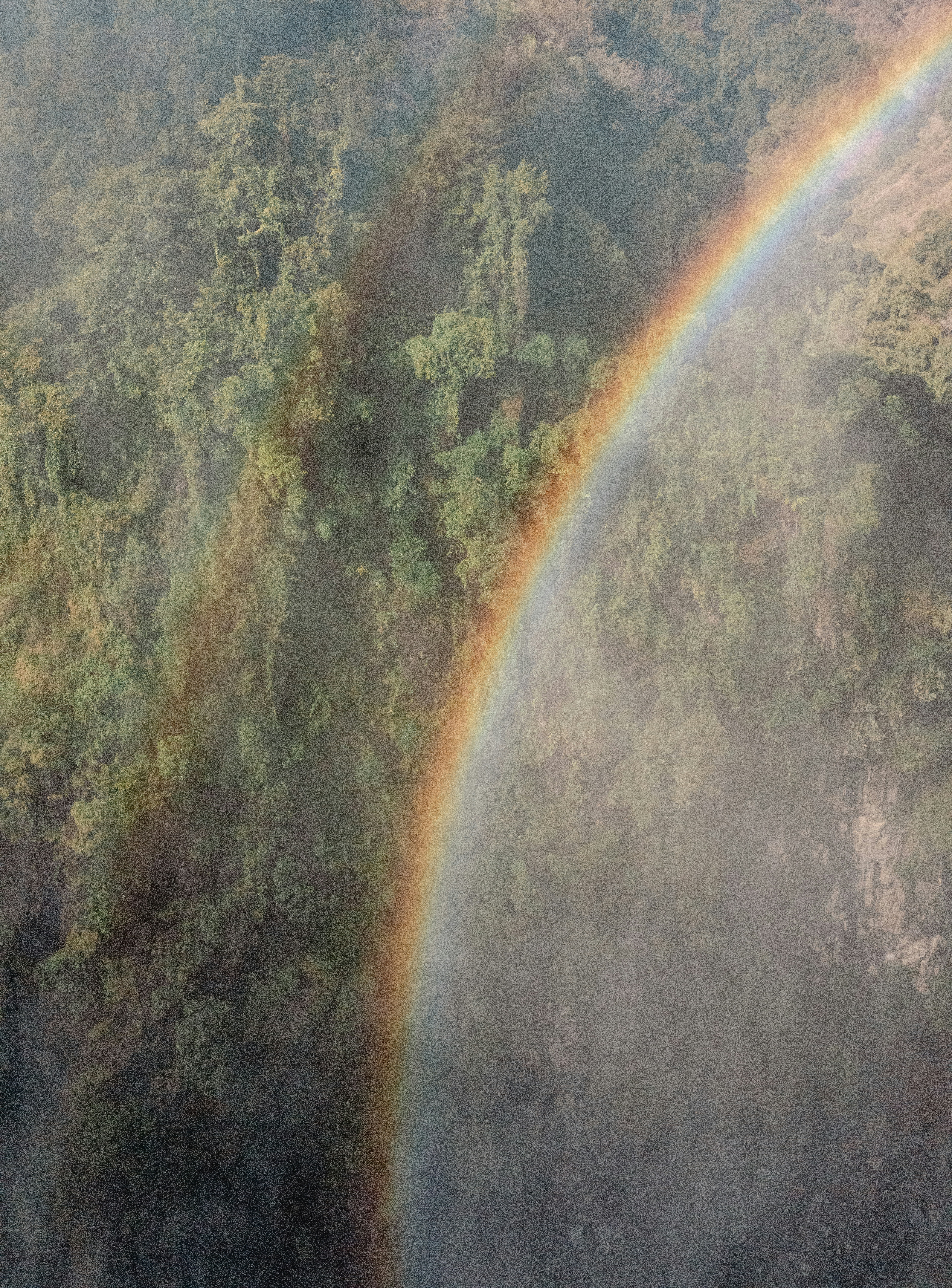 Rainbow Arc Over a Misty Forest Canyon