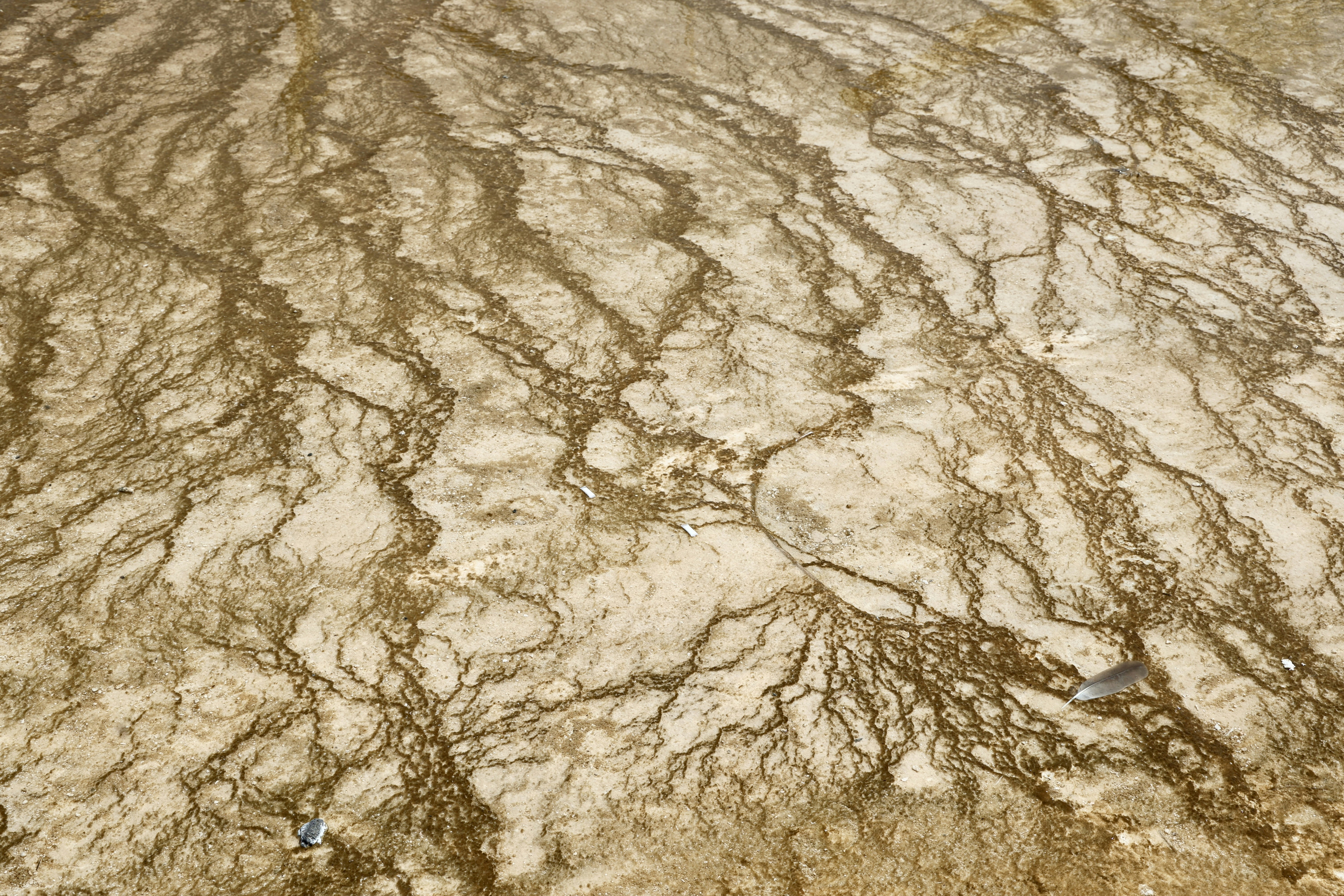 Deserted riverbed mosaic: sunlit cracks weaving through arid earth