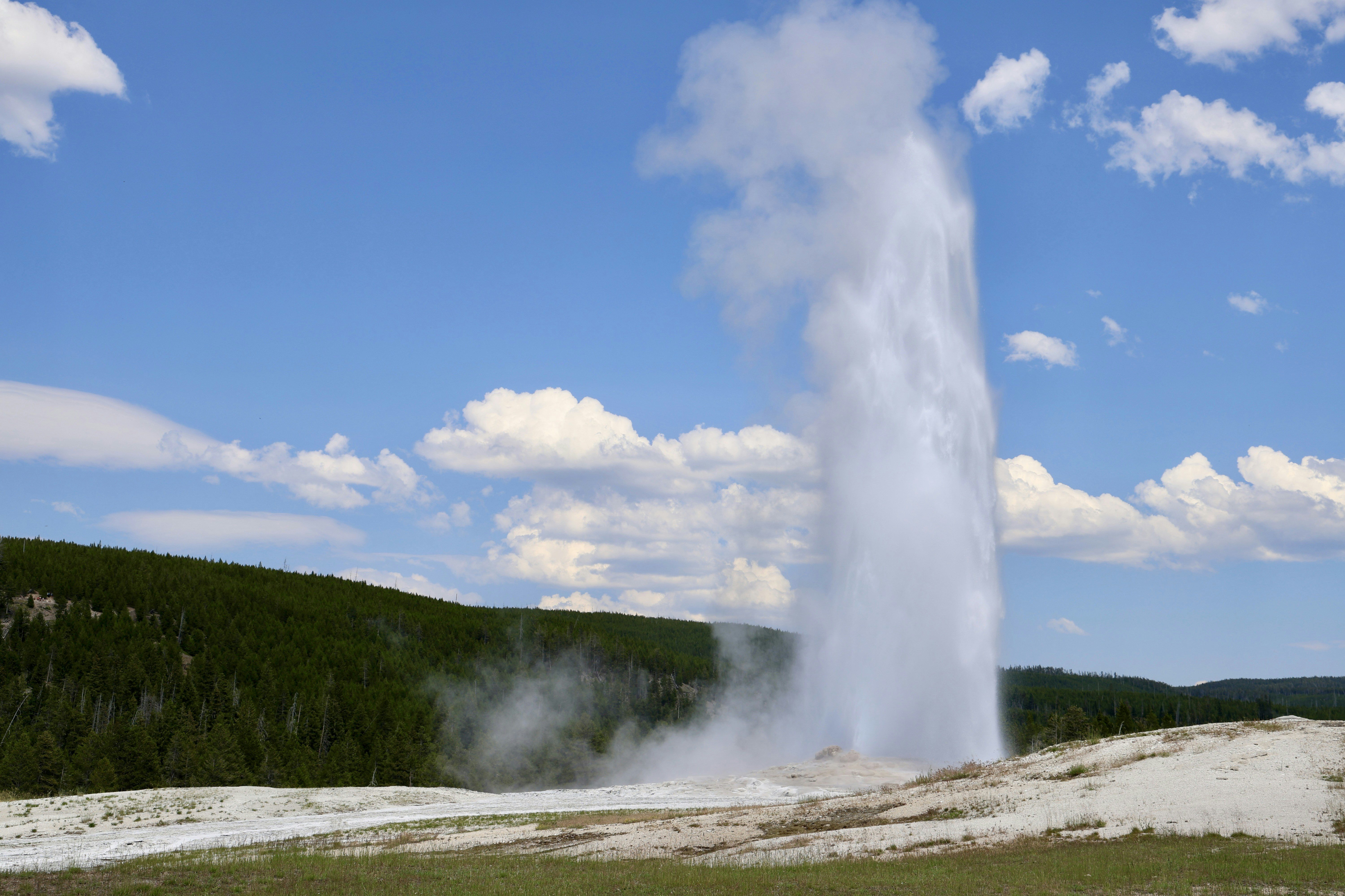 Midday Plume: Morning Sun on a Yellowstone-like Geyser