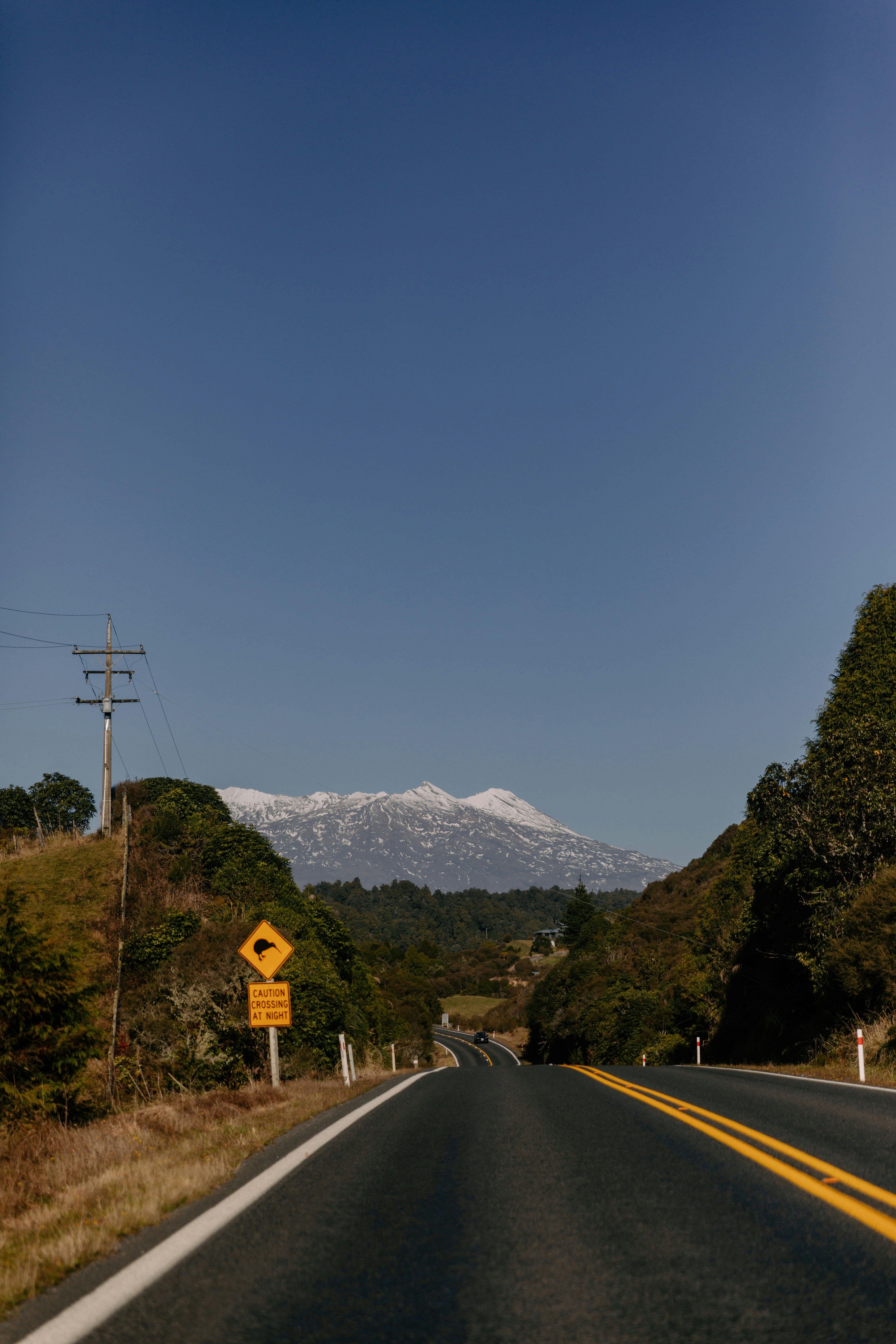 Snow-capped Peaks Guarded by a Quiet Rural Road