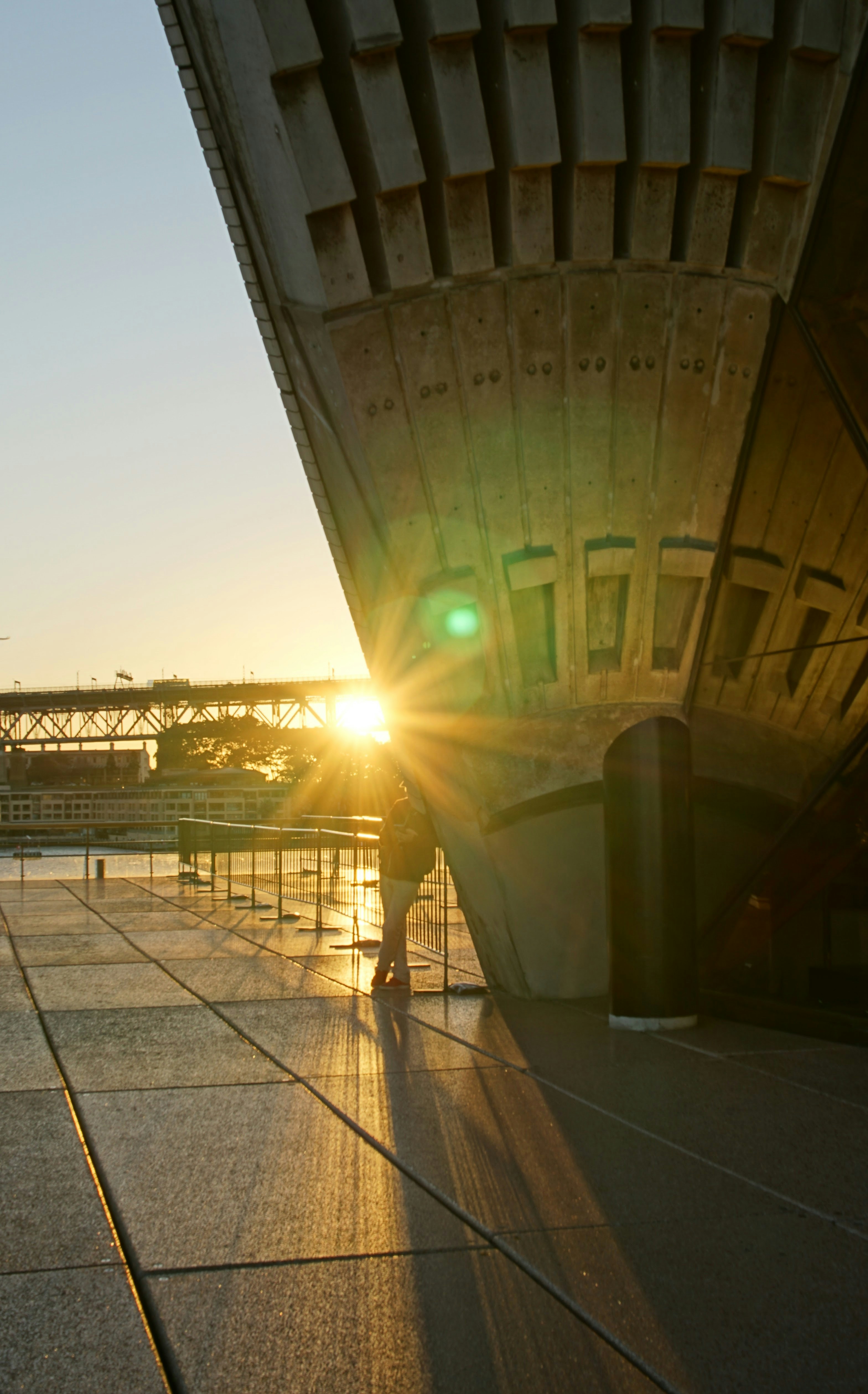Sunburst Under the Bridge: Shadow and Light on the Waterfront Walk