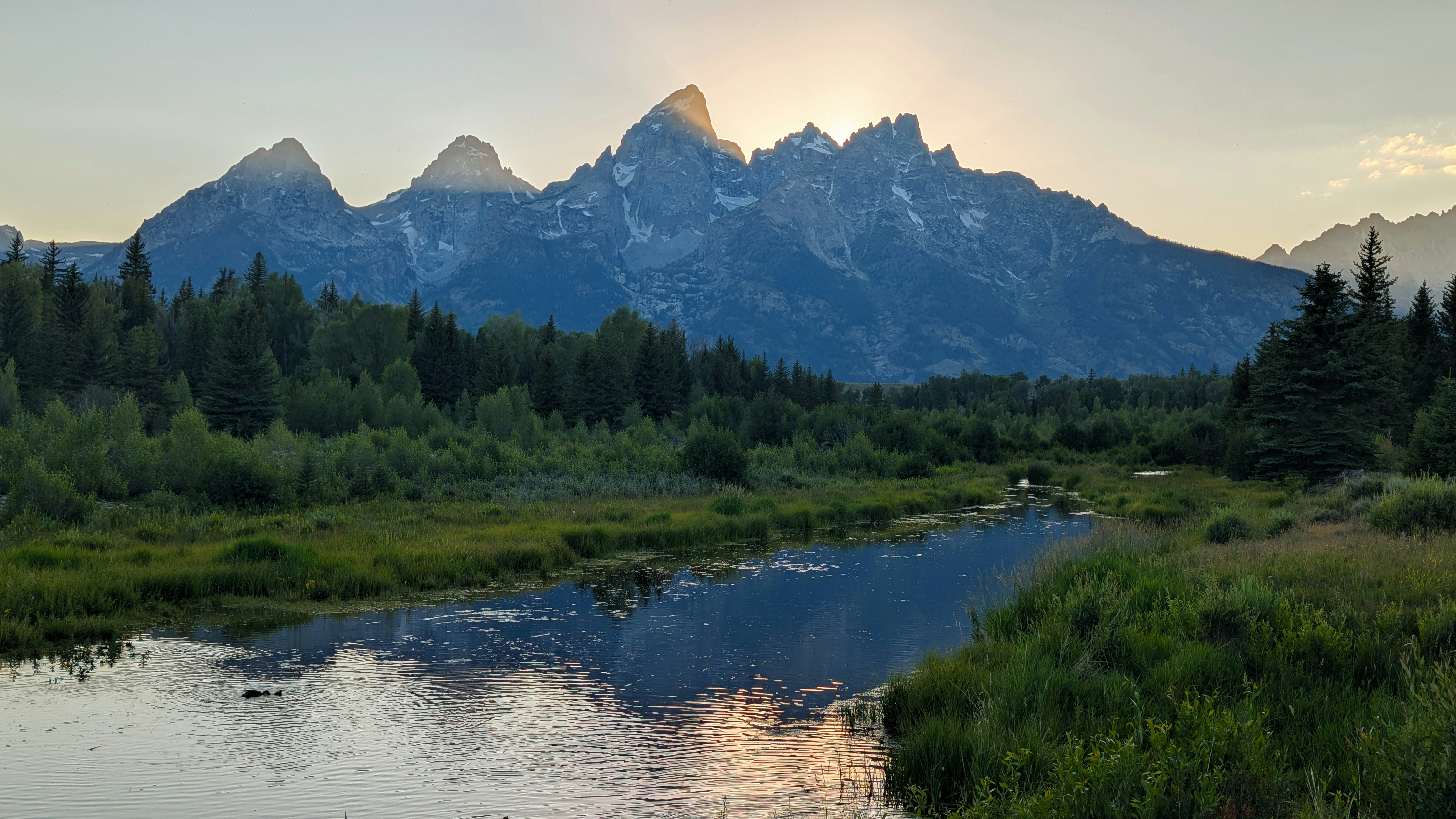 Serene river meanders through a grass-filled plain toward a distant range at dawn; rugged peaks rise above a pine forest under soft morning light.