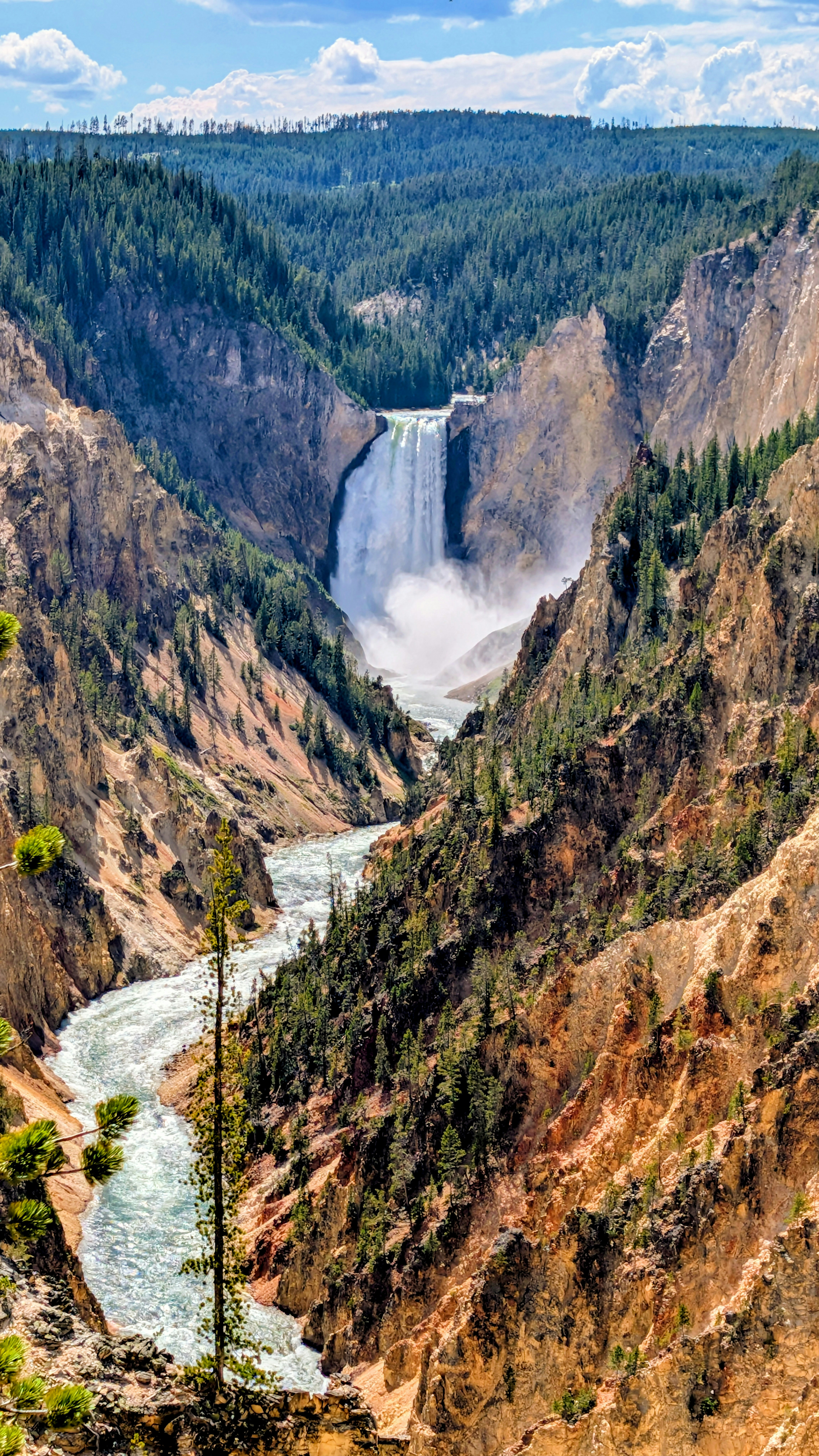Cascade through the Grand Gorge