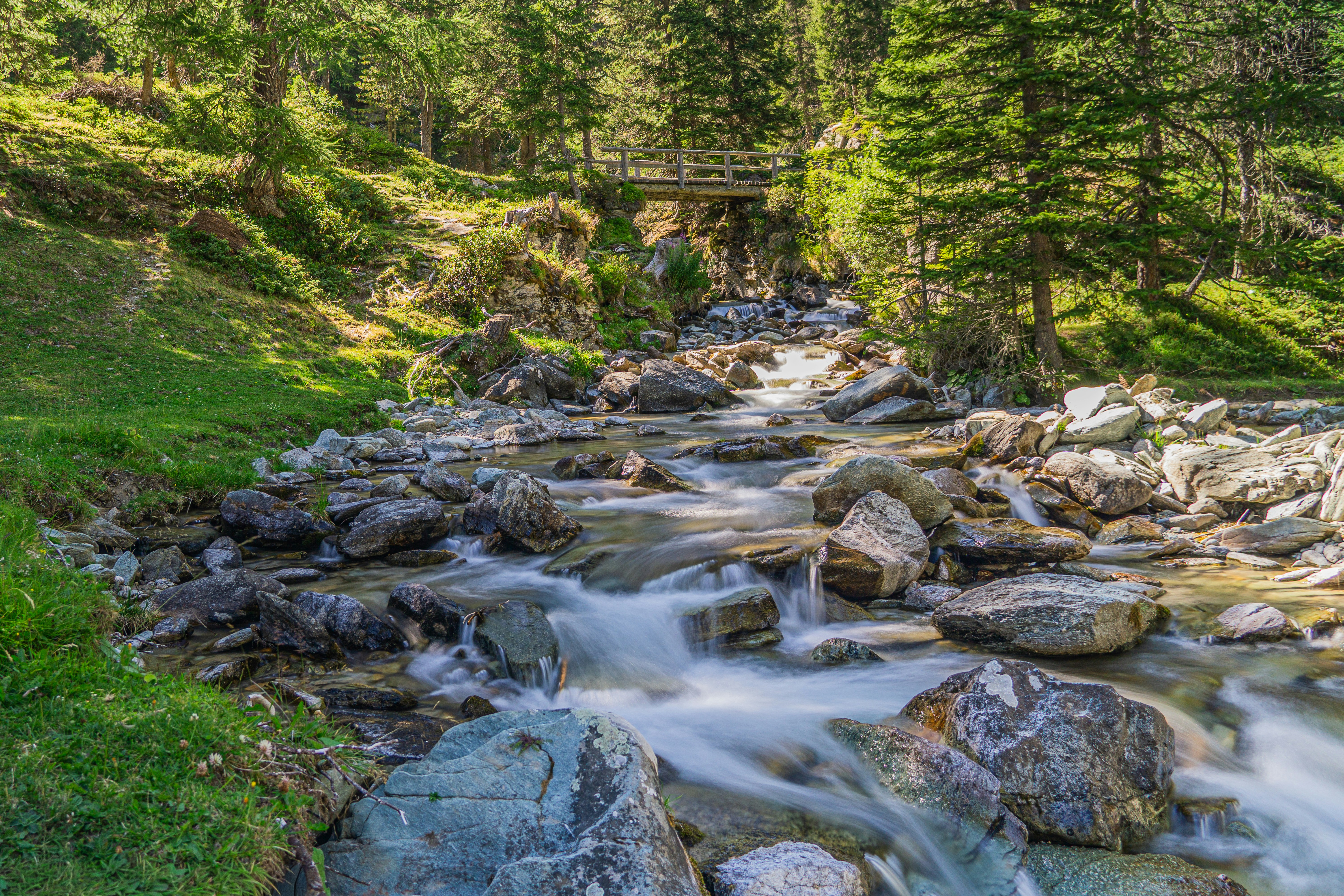 Rushing Alpine Stream through a SunlitRock Garden