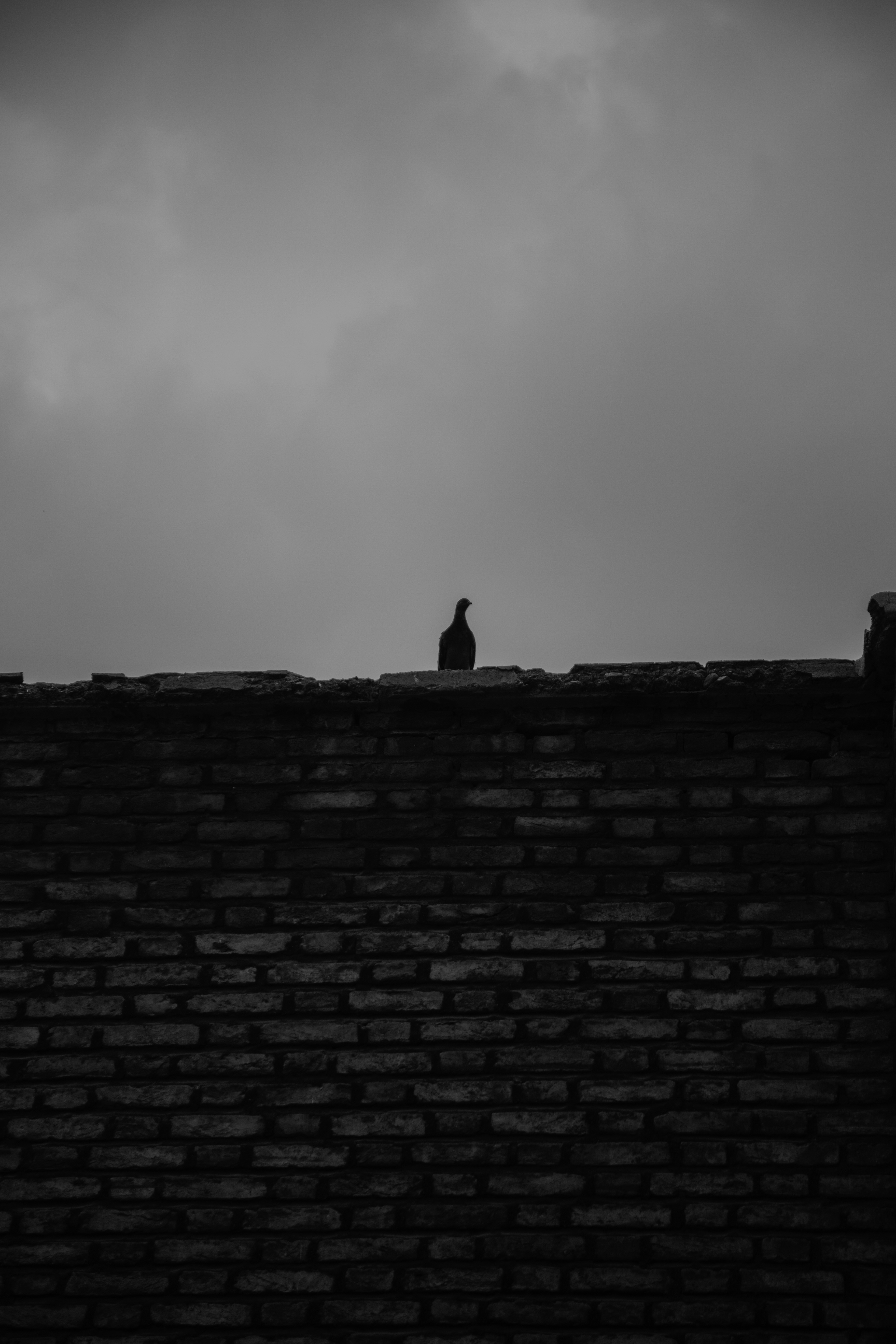 Singleton on the Wall: A Silhouette Against a Vast Sky