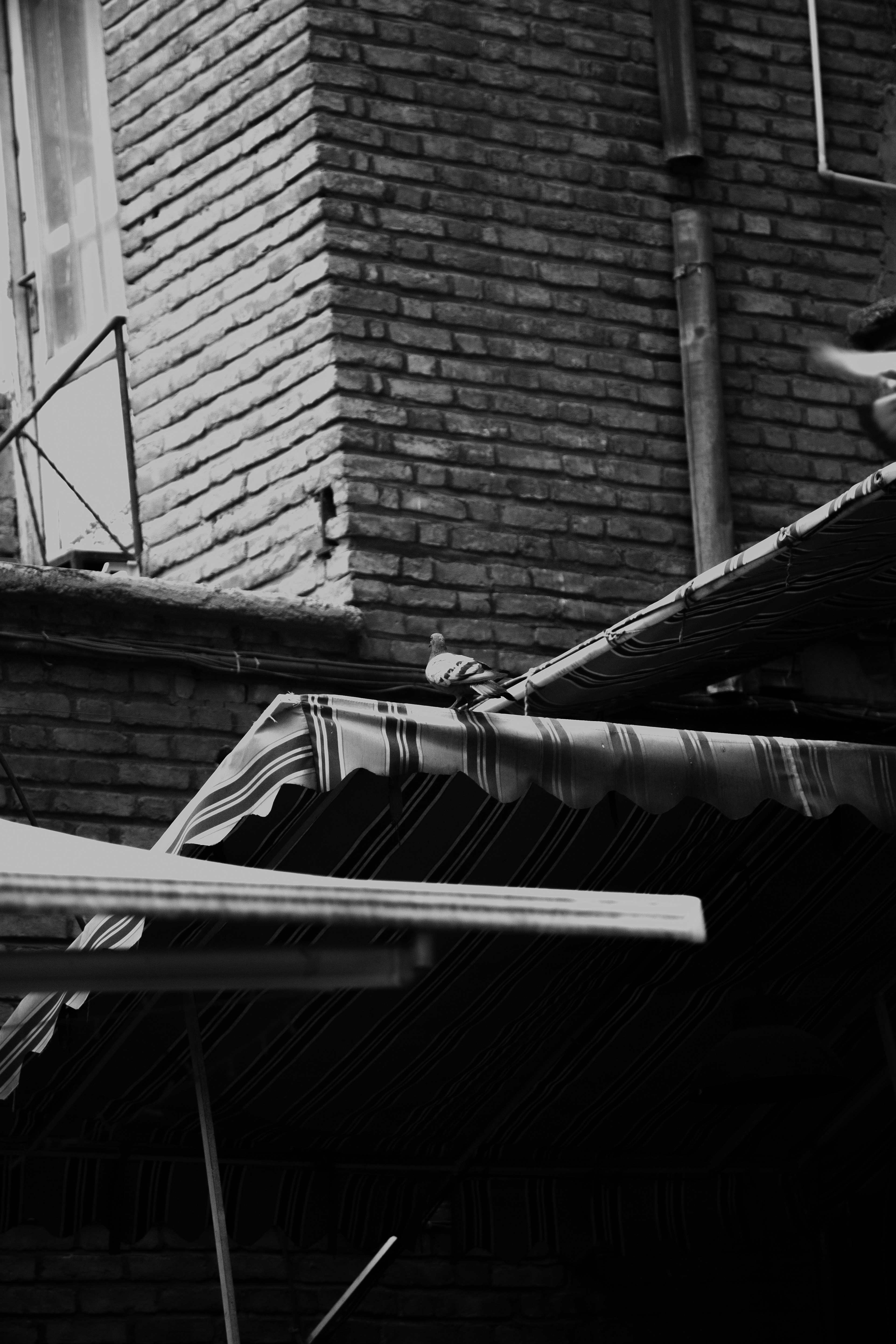 Brickwork and Awnings: A Quiet Corner of an Urban Street