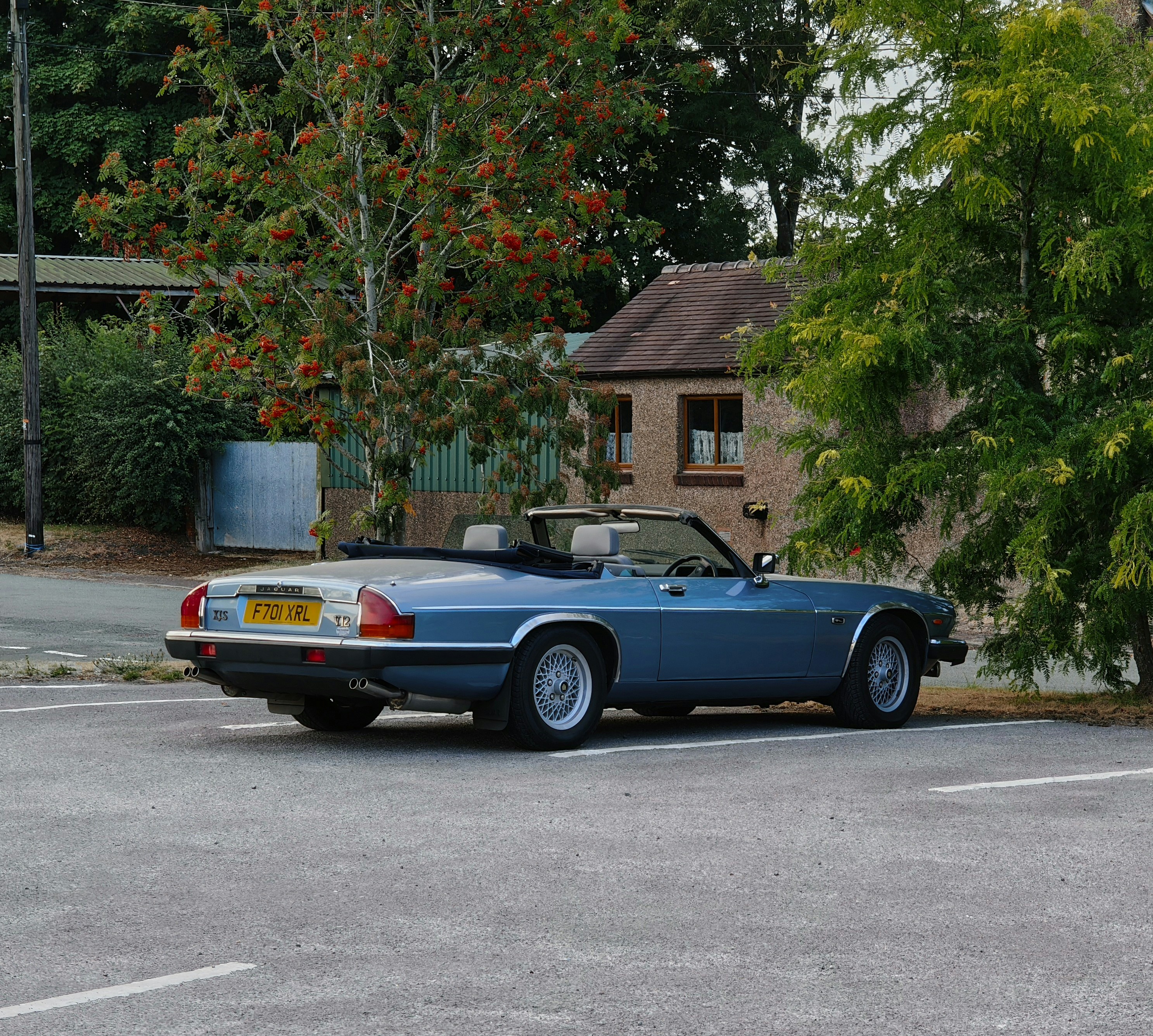 Blue classic convertible car parked beside trees