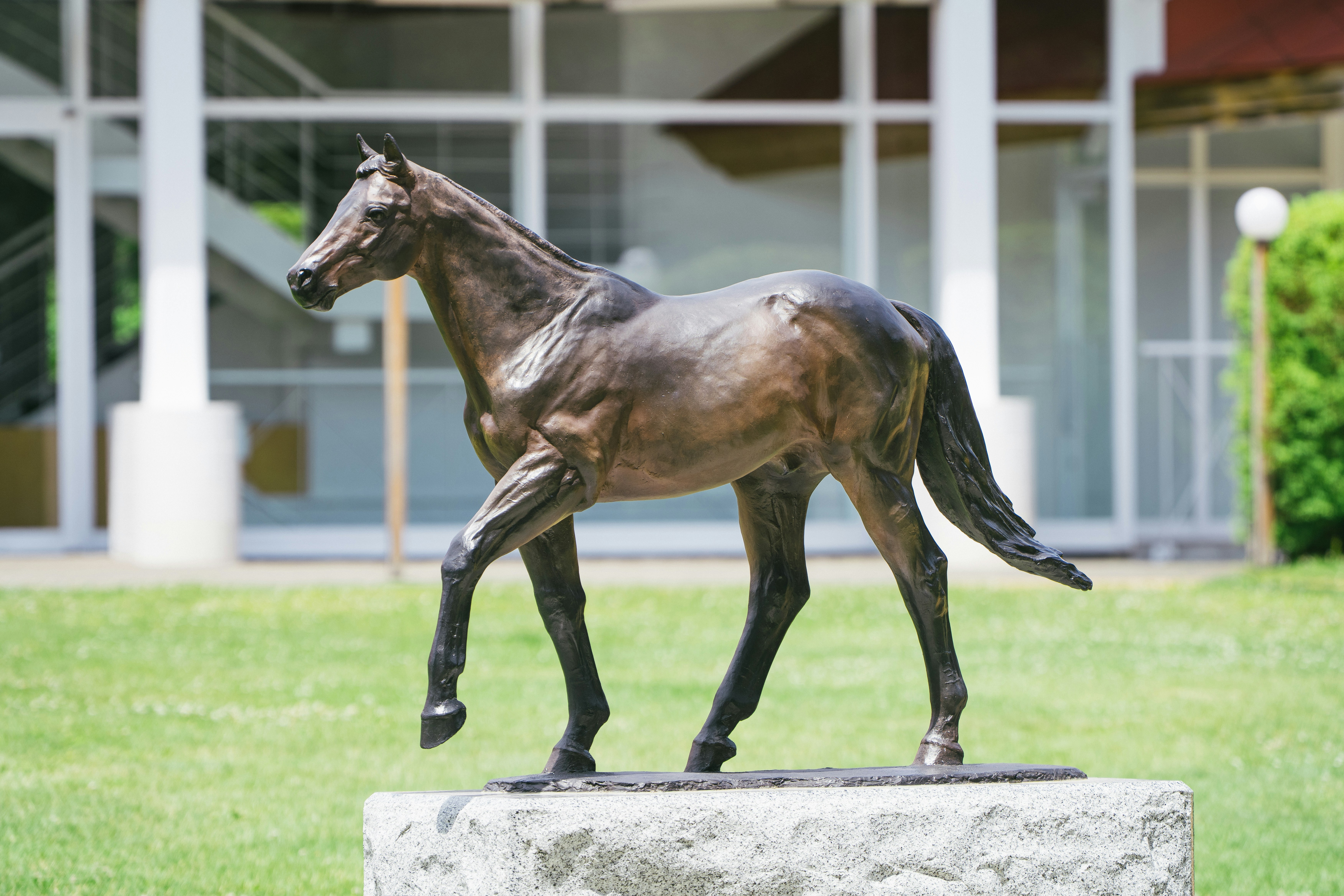 Bronze Equine Stance: A Statuesque Moment on the Pedestal
