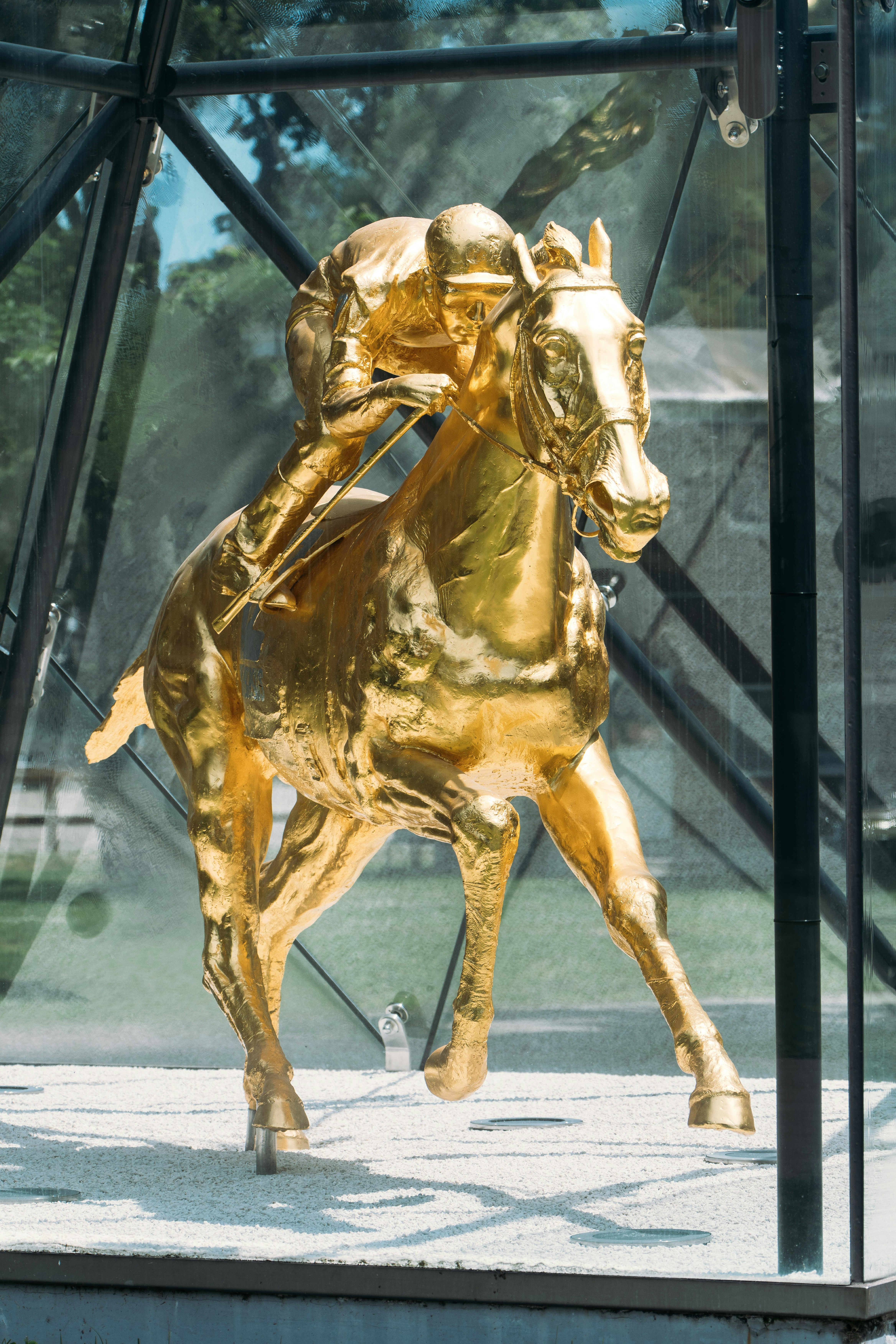 Golden Gallop: A Glinting Stallion Encased in Glass