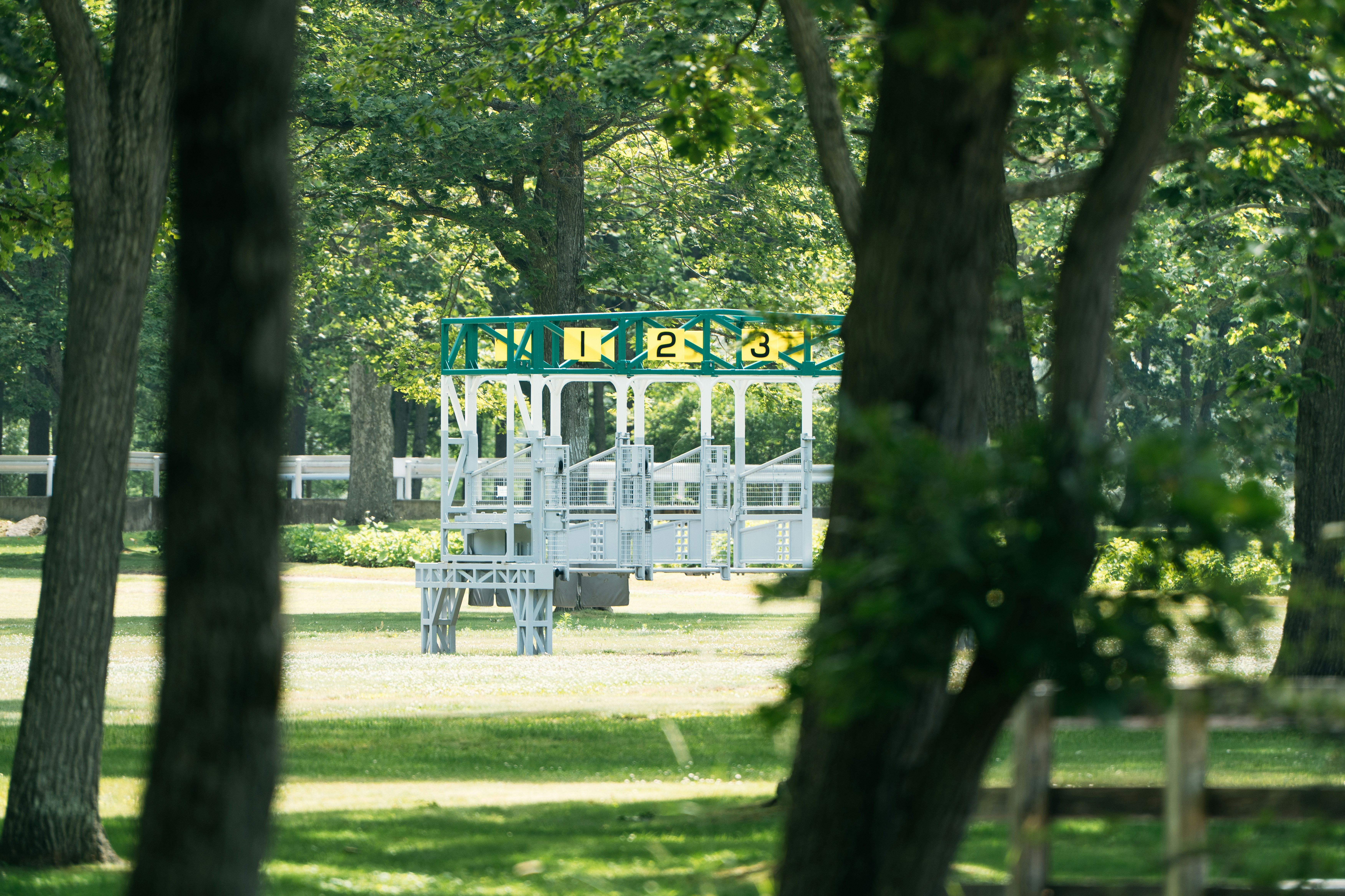 Silhouetted Trees Frame a Row of Green and Yellow Gateways in a Sunlit Park