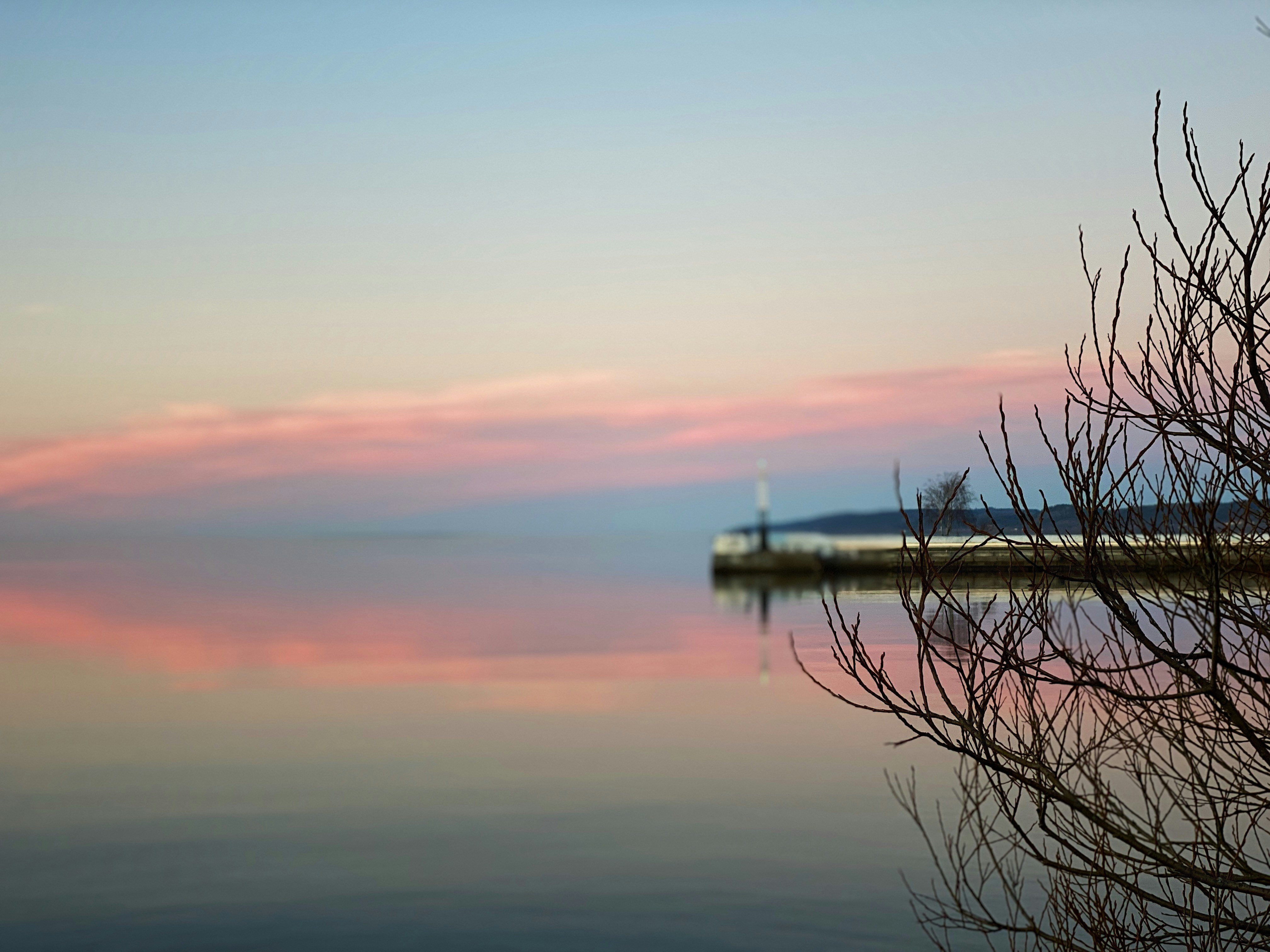 Calm Waterfront at Sunset with Silhouetted Branches