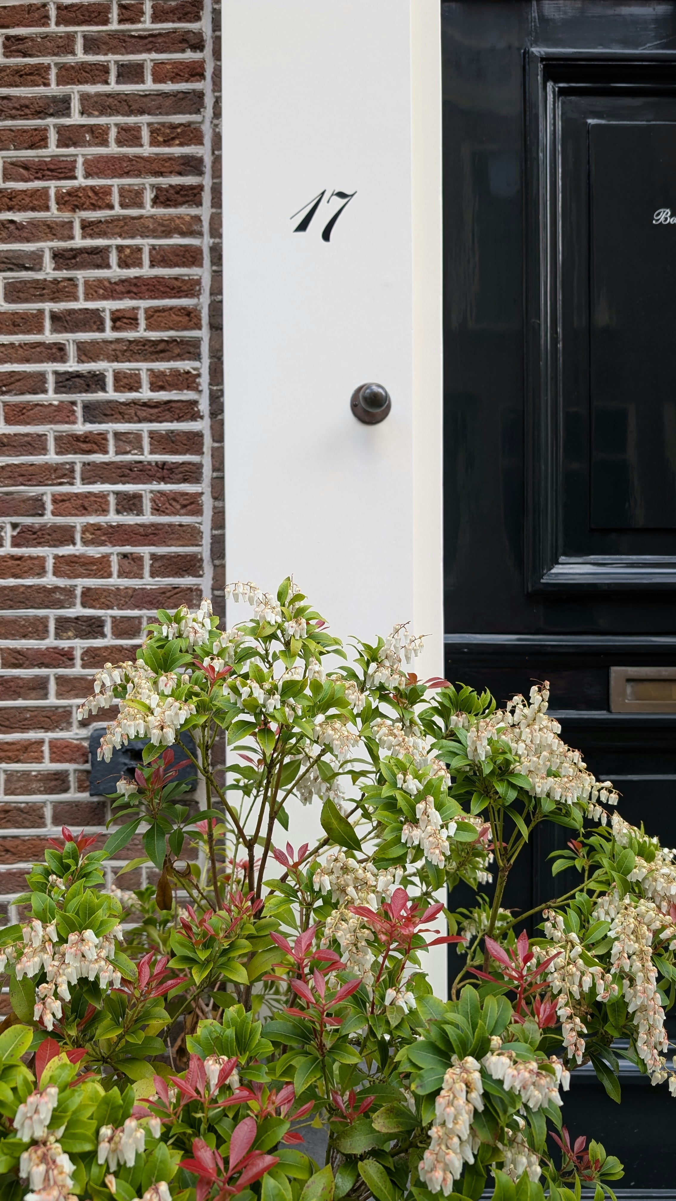 White doorstep with floral front garden beside a black door at number 17
