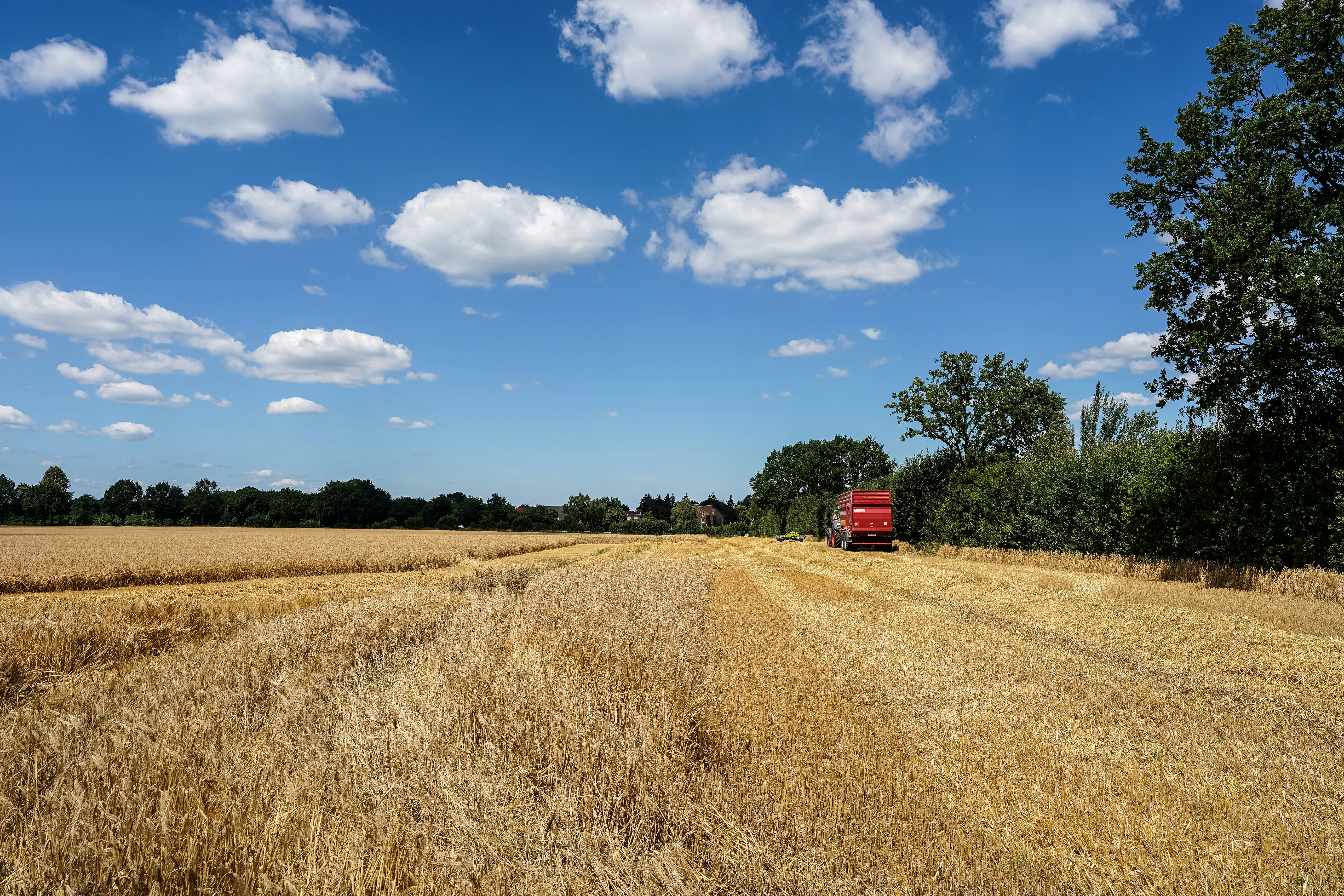 Red Harvest Calms into a Country Road Panorama