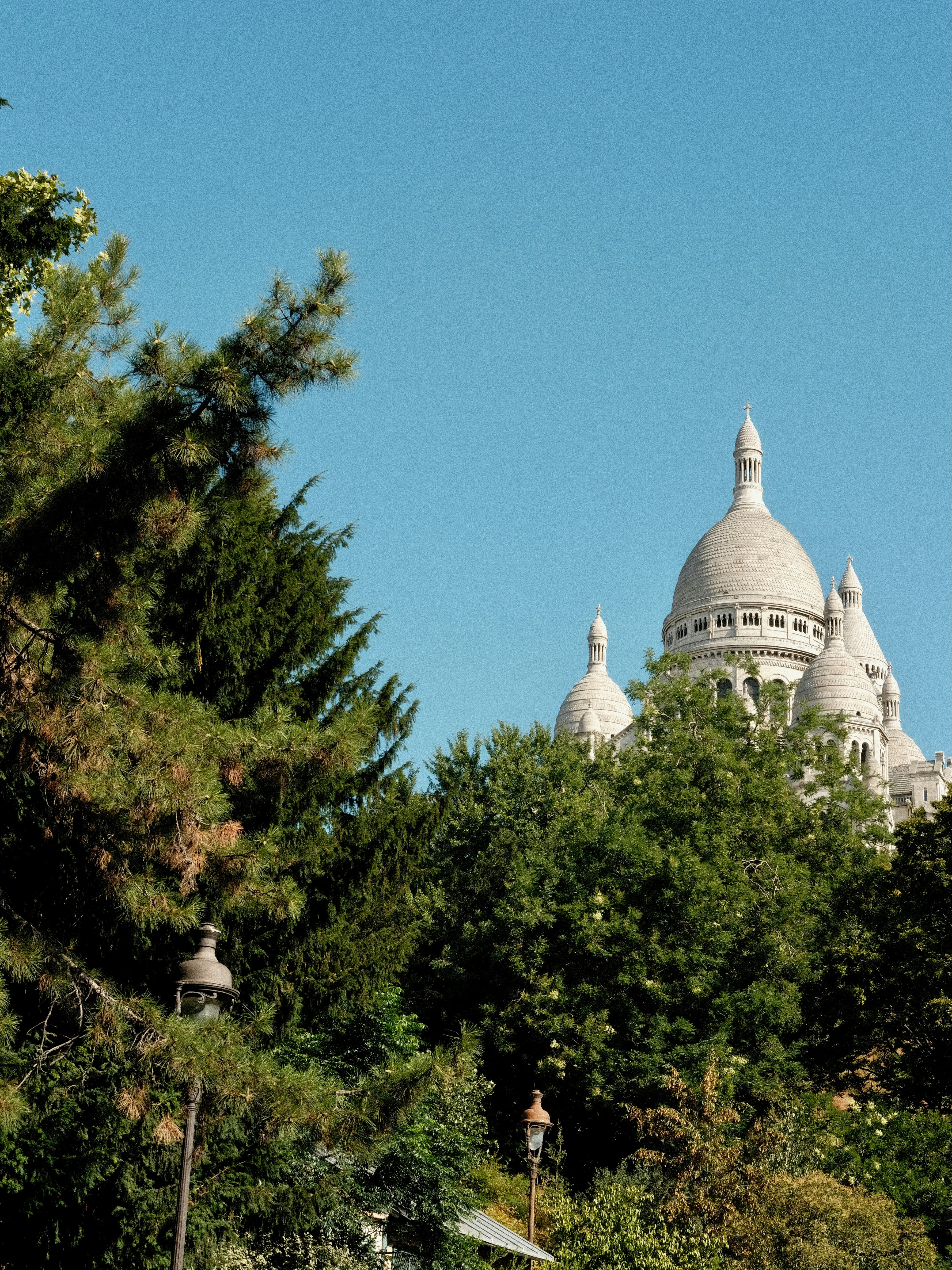 Skyline in Focus: The Basilica Rises Above the Verdant Canopy