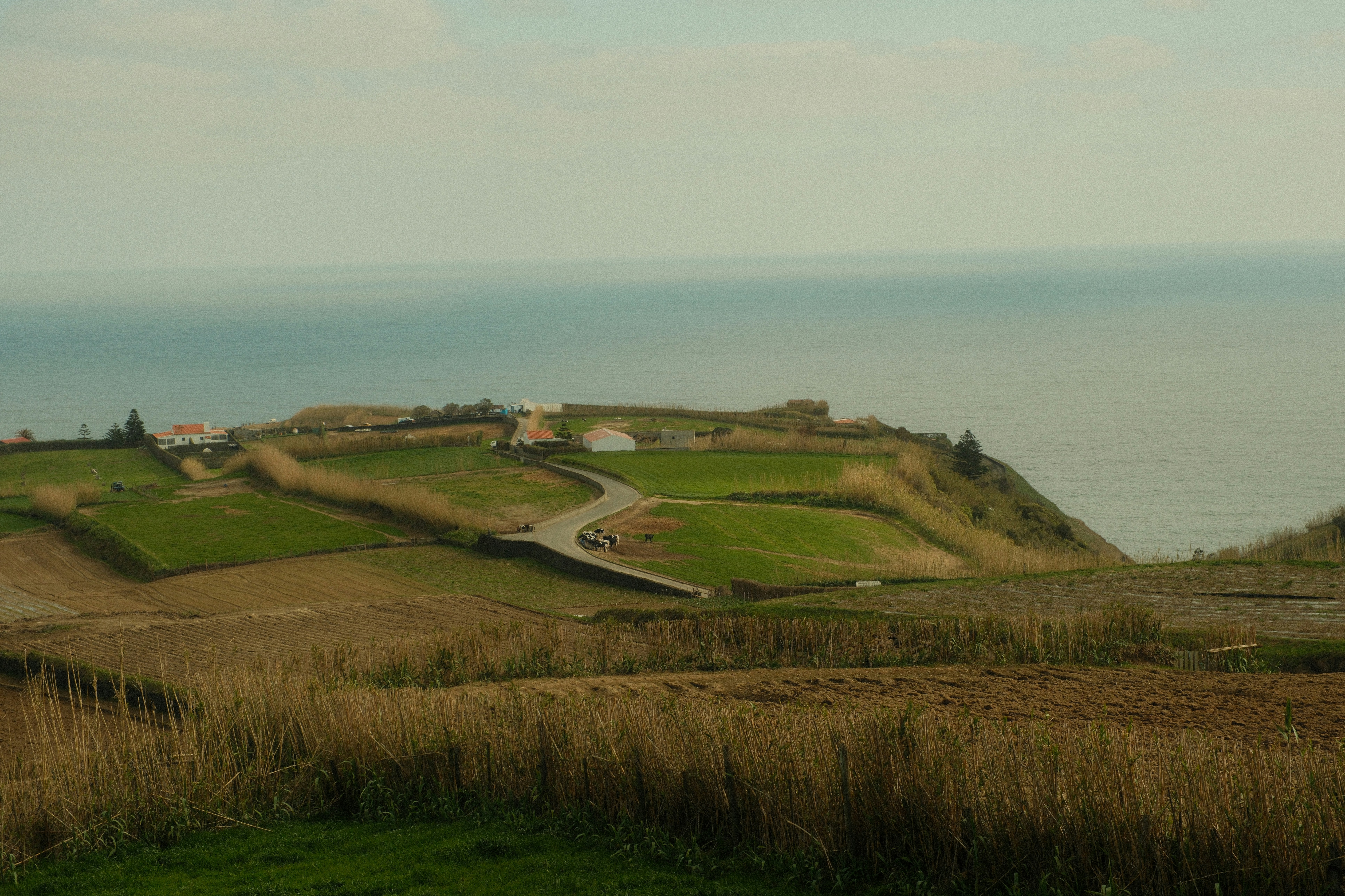 Coastal Ridge Road: A Quiet Drive Above the Sea