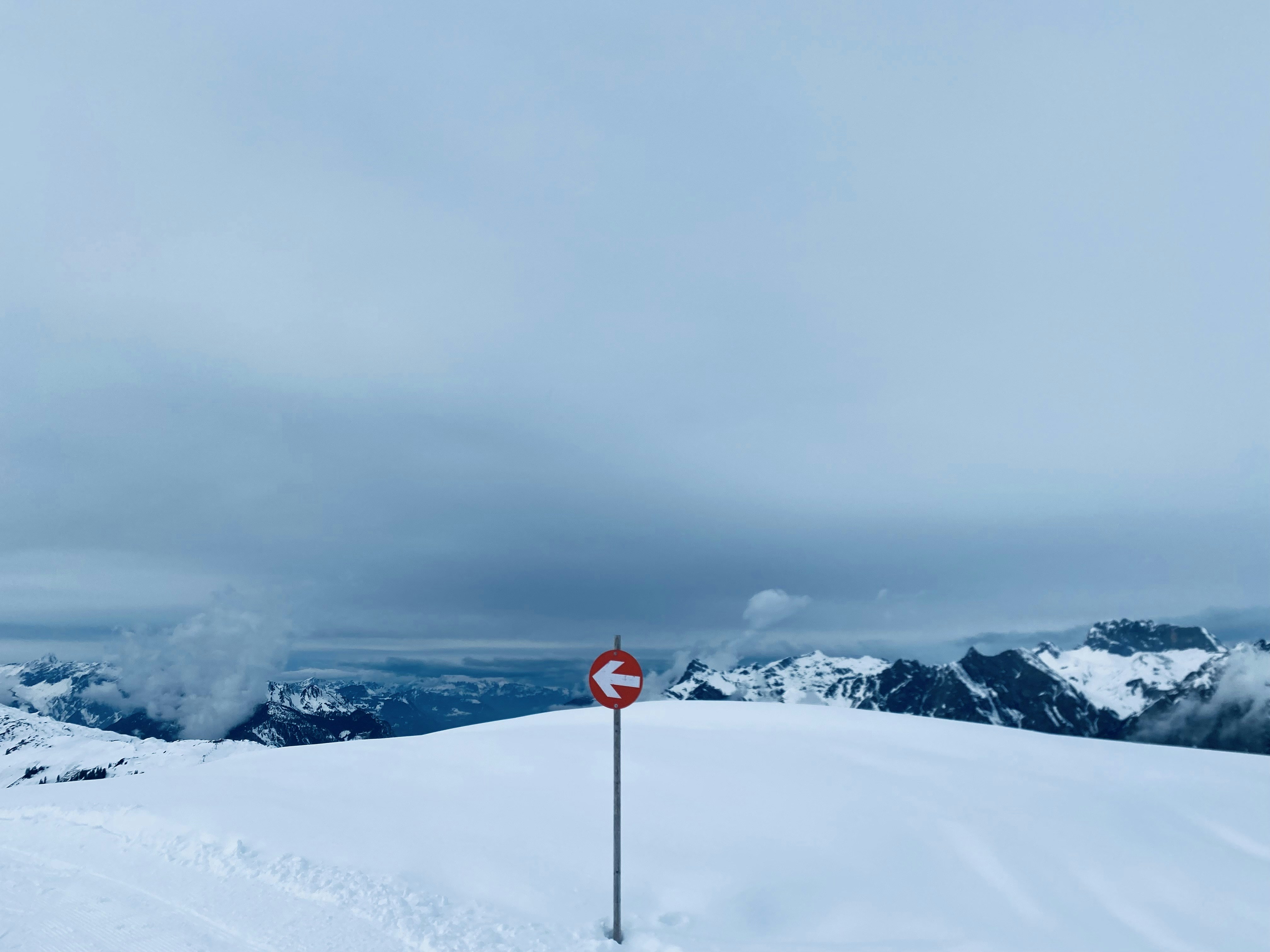Snowbound Summit: The Single Arrow in a Sea of White