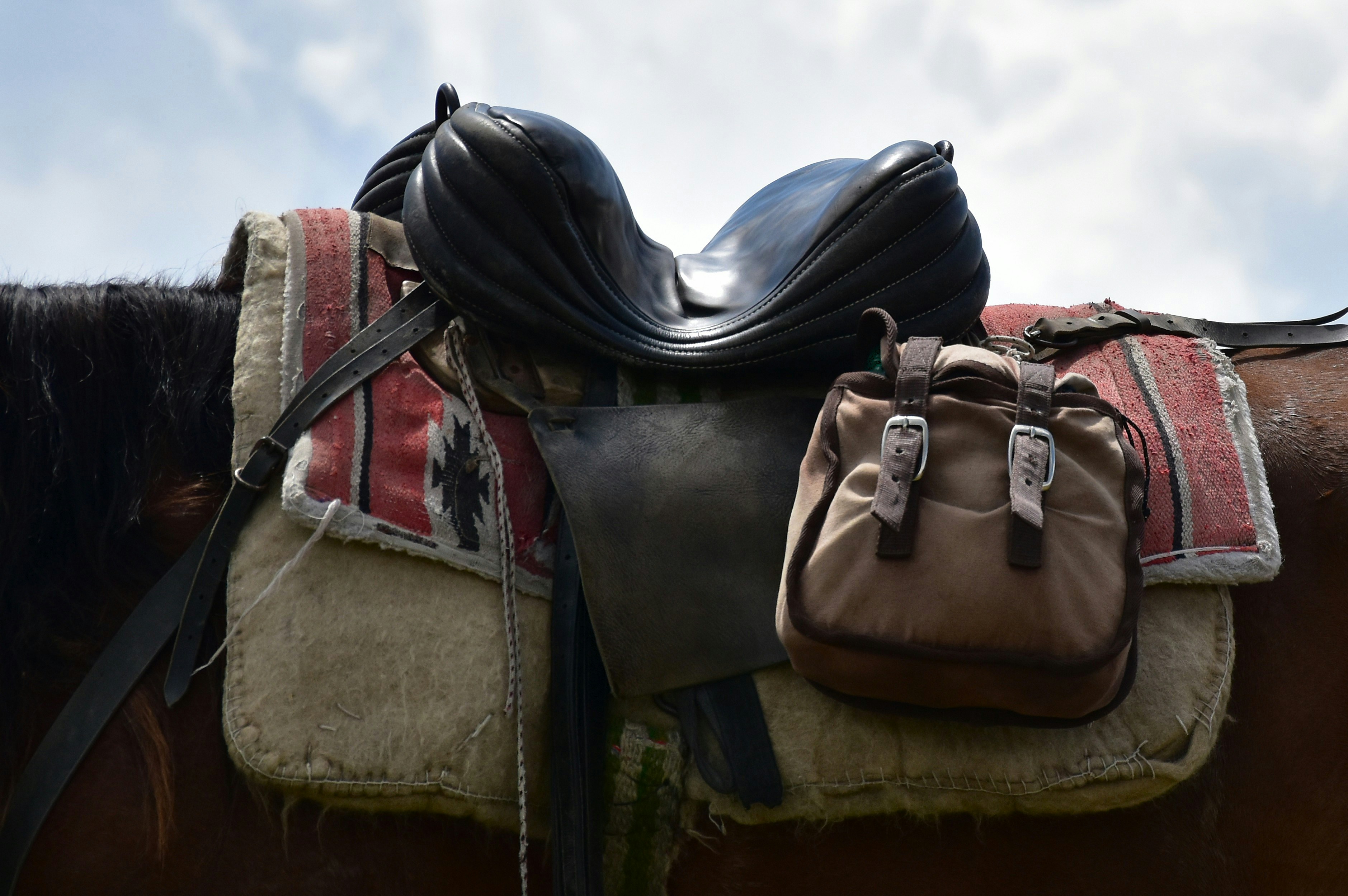 The Saddle's Quiet Burden on a Sunlit Field