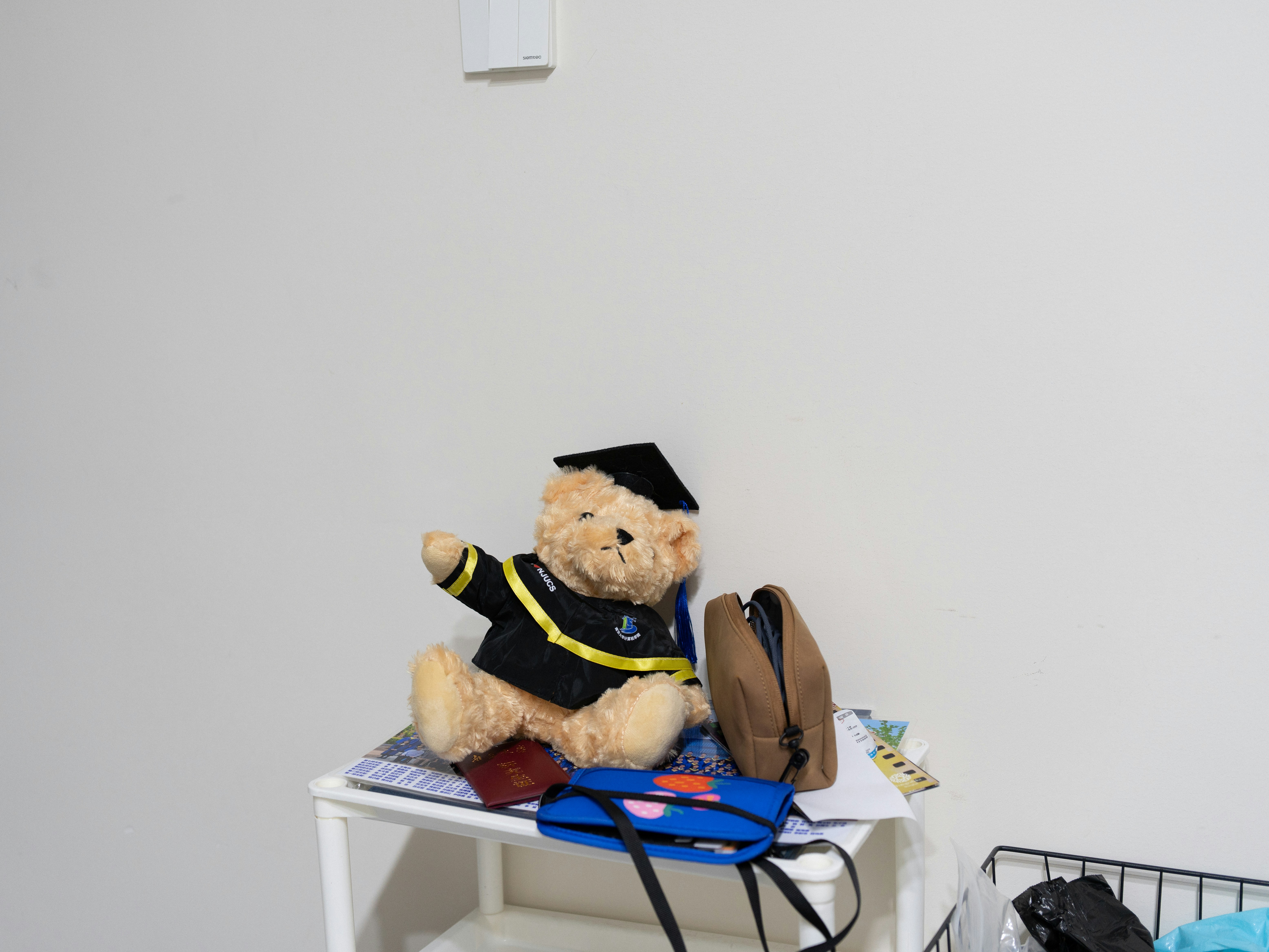 Graduate Teddy: A Tiny Scholar Amid Stacks and Bags