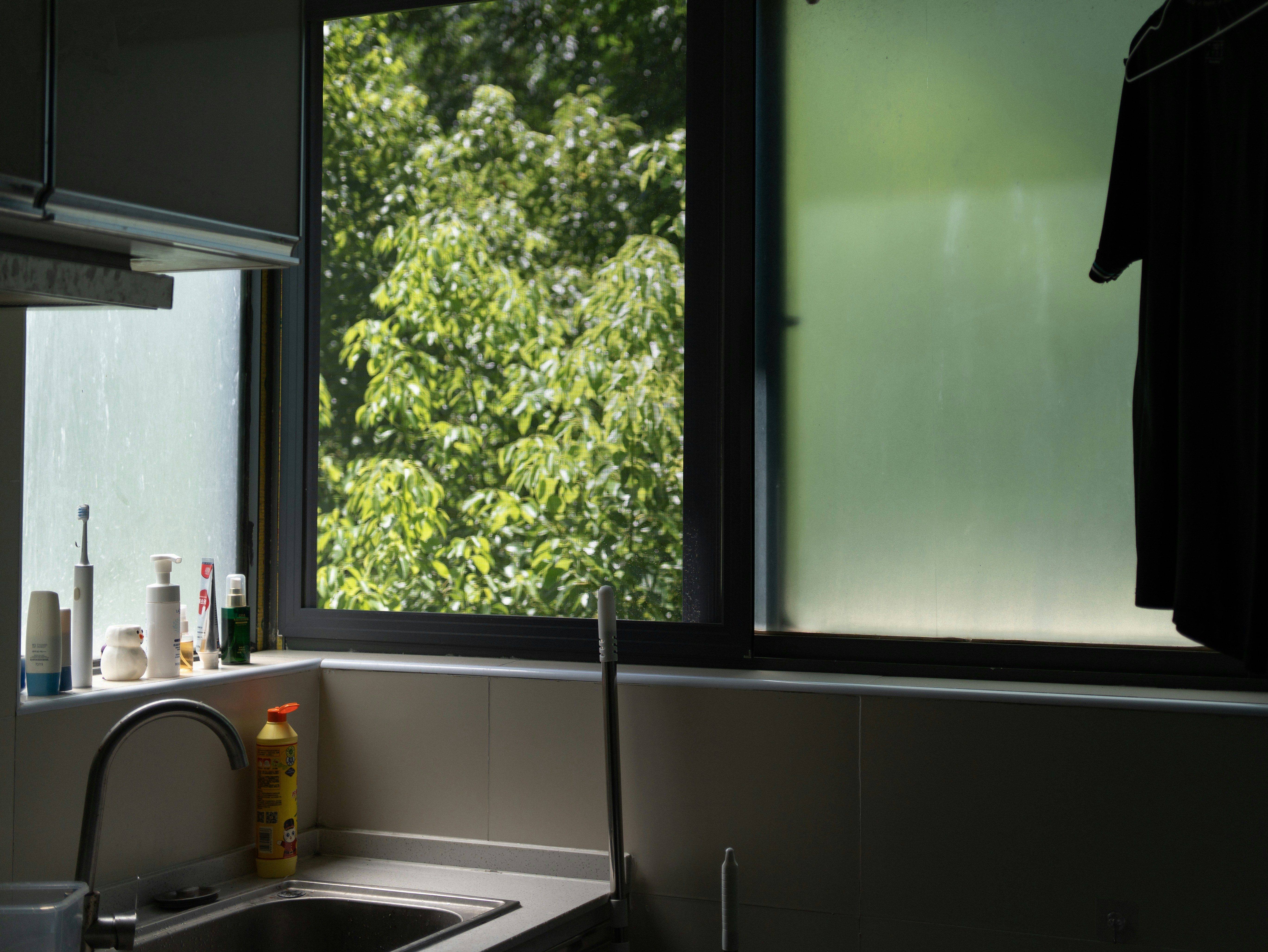 Morning Light Over a Minimal Kitchen Sink