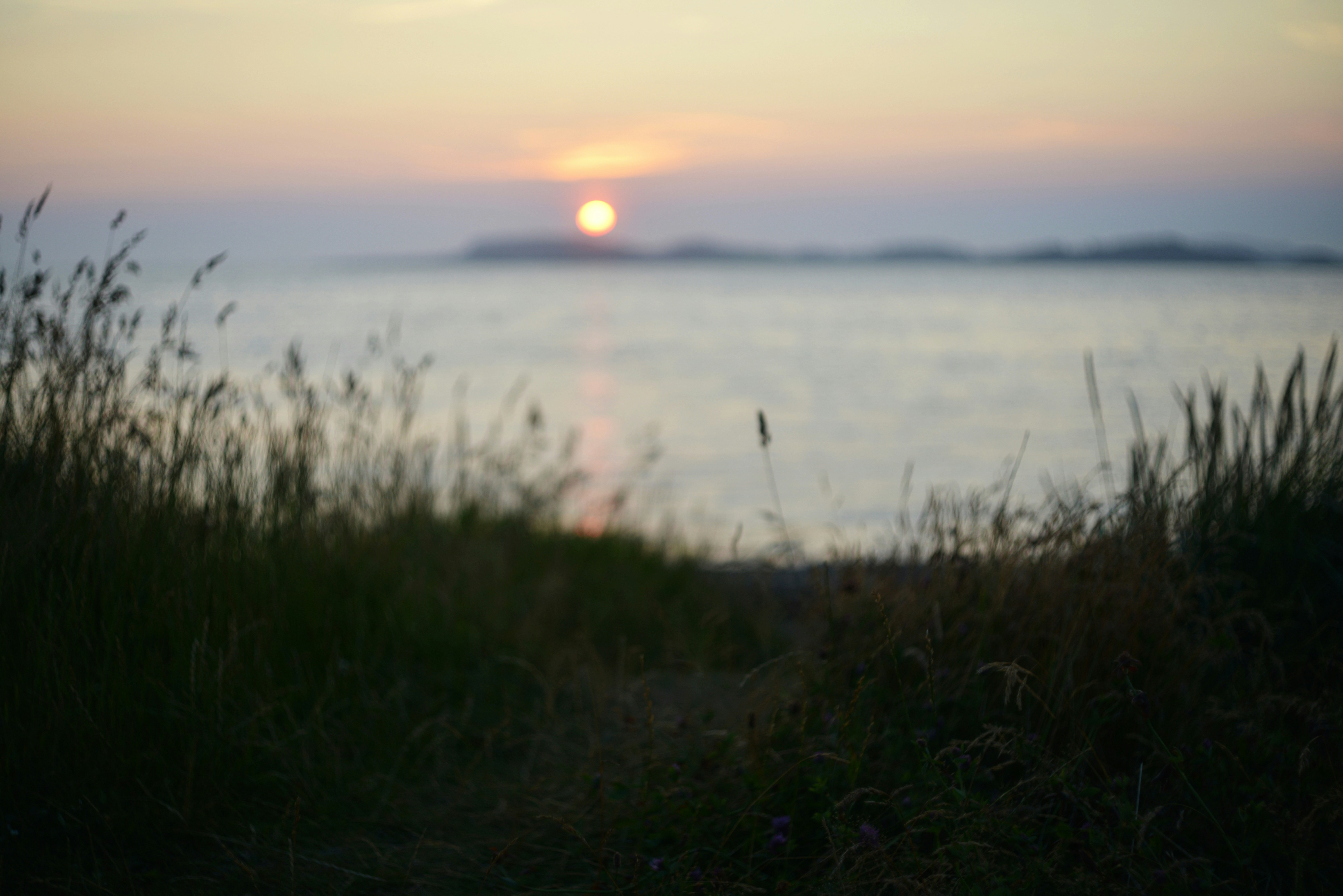 Horizon at Dusk: Calm Grassland Foreground Framing a Distant Sunset