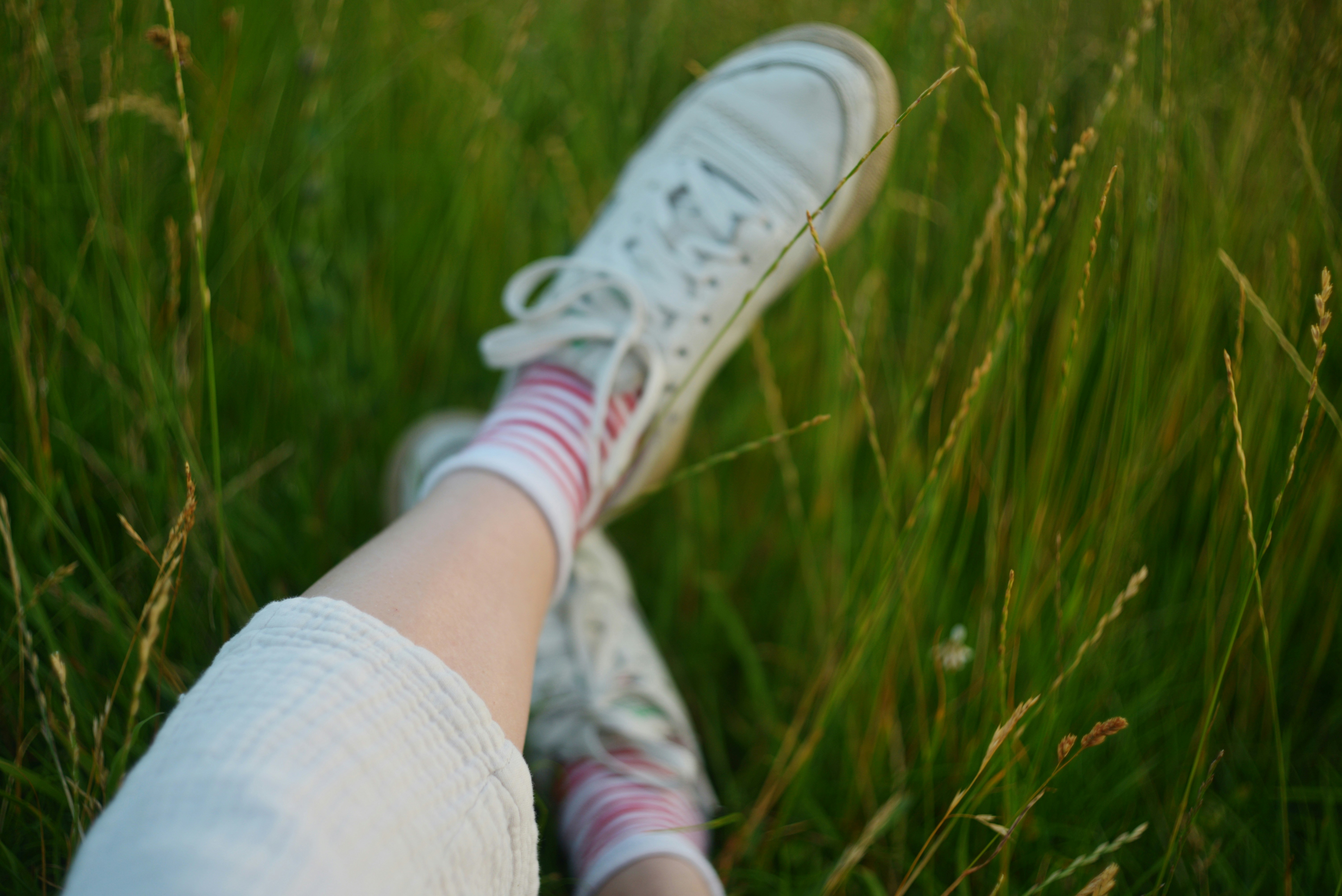 Lace and Grass: A Quiet Footpath Between Sneakers
