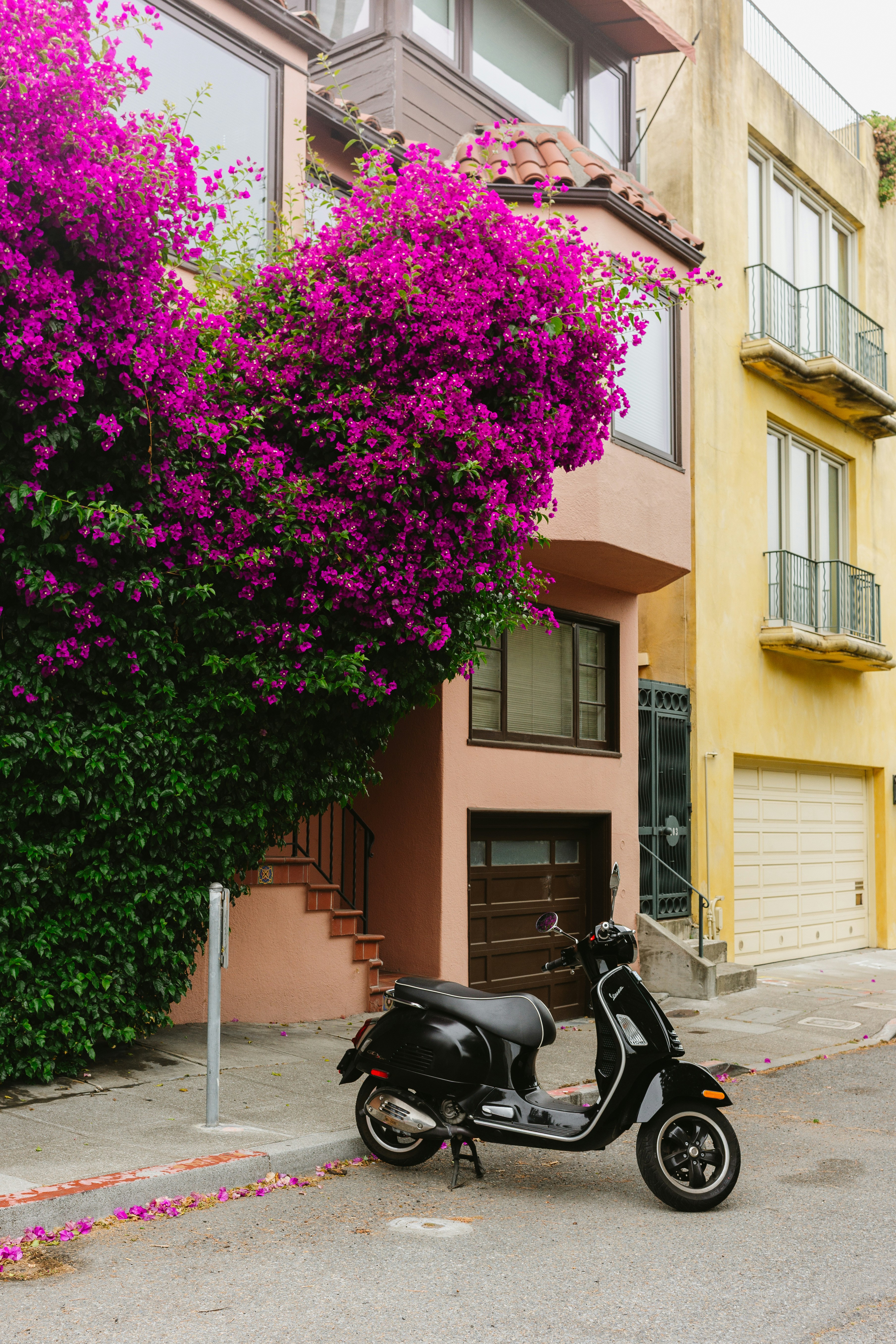 Bright magenta bougainvillea drapes over a peach-colored townhouse while a black scooter rests on a quiet street; warm afternoon light highlights architectural details and urban charm.