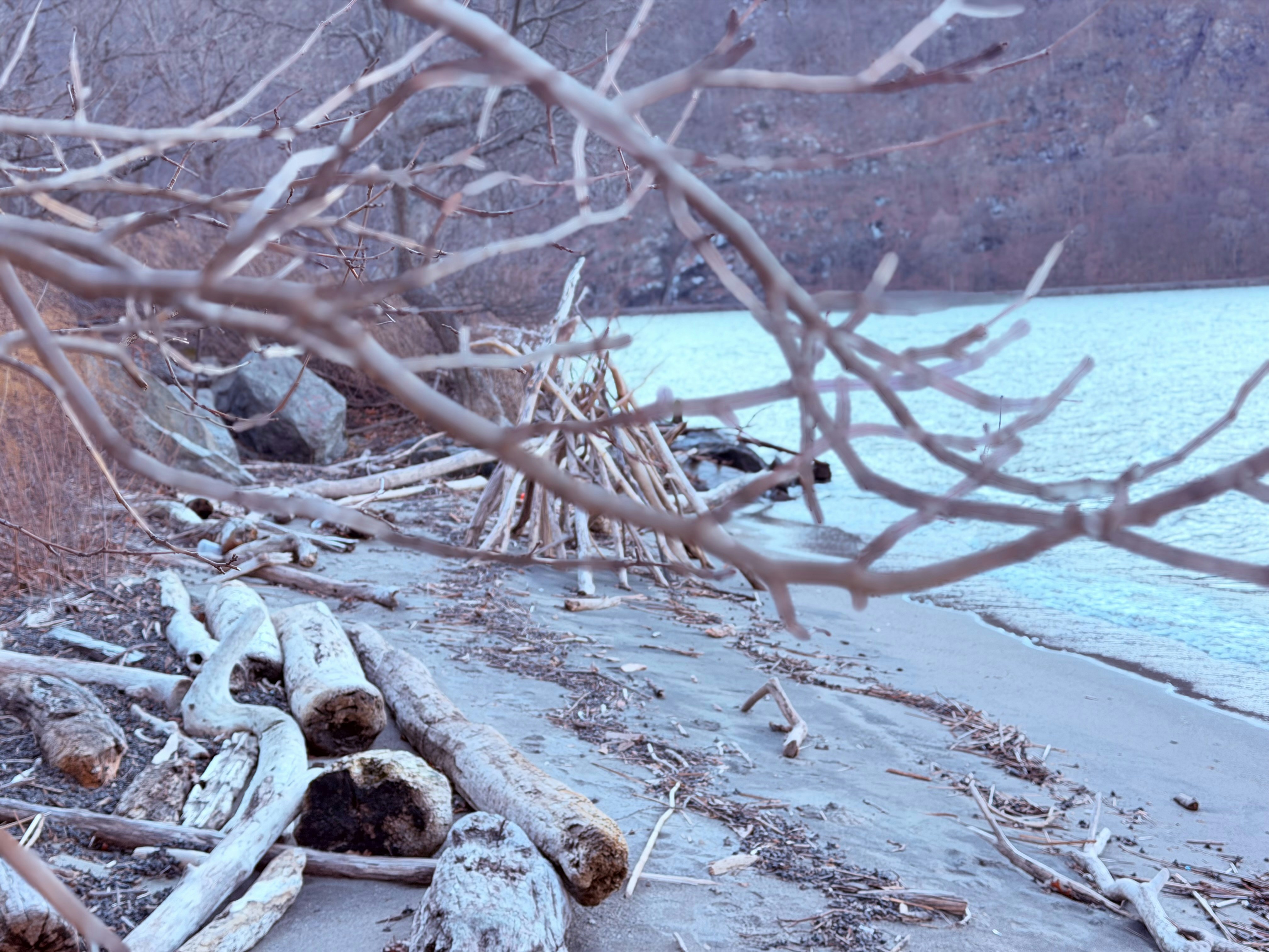 Driftwood Constellation by the Lake
