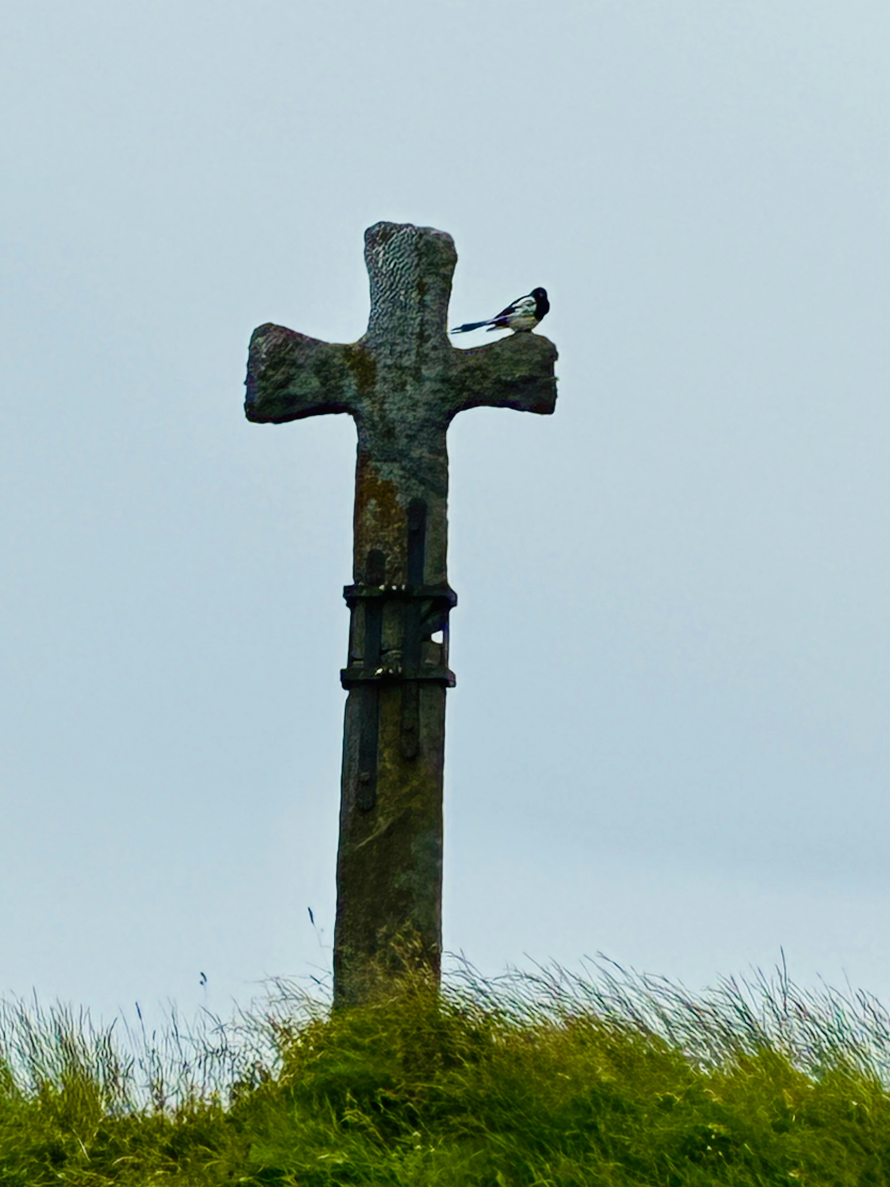 A weathered stone cross sits atop a grassy hill with a small bird perched on its right arm, against a pale sky. This is a landscape photograph.