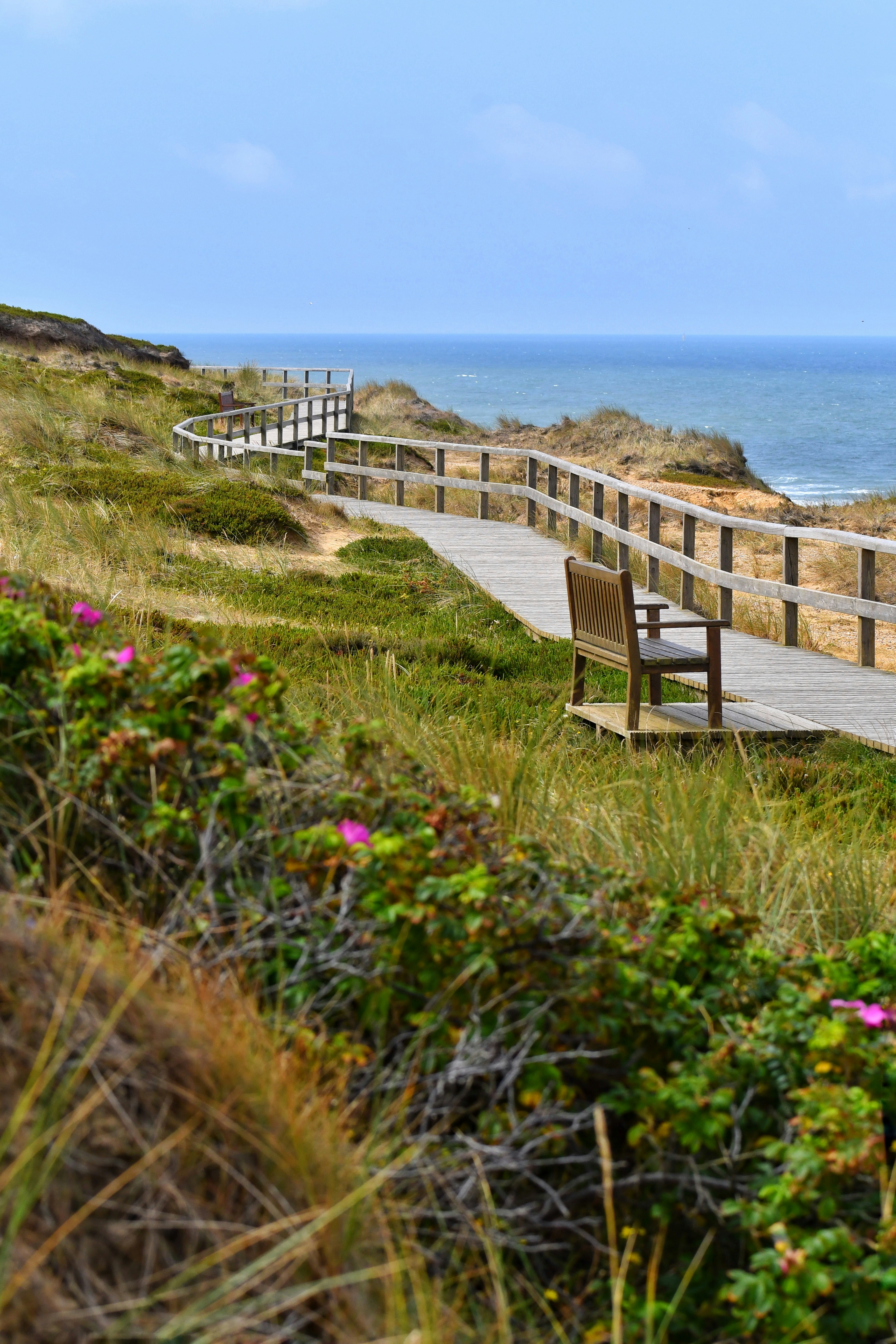 A wooden boardwalk winds toward the sea with a solitary bench facing the water; foreground grasses and dune flowers frame the path under a clear blue sky.