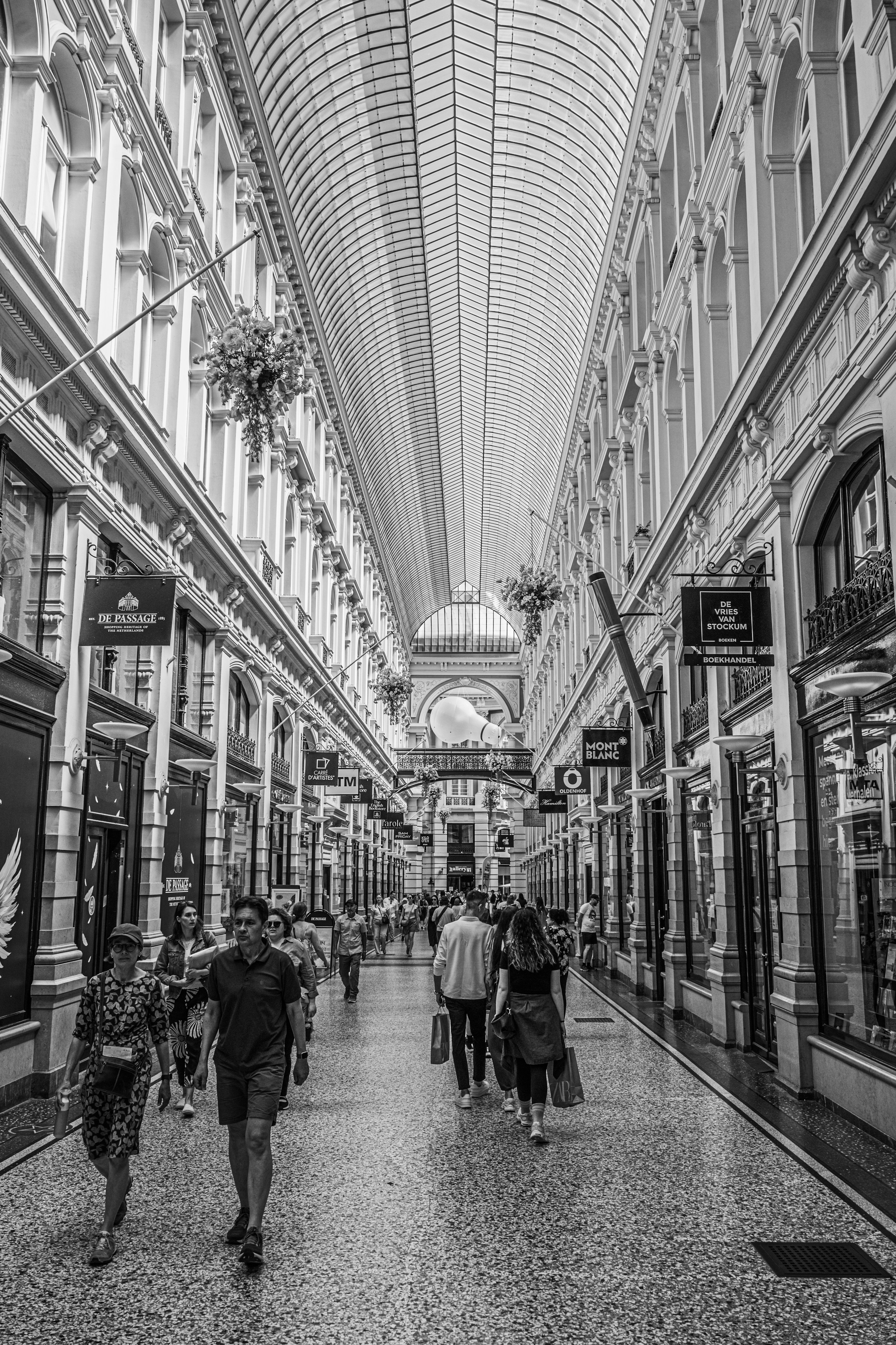 A Grand Boulevard of Glass and Stone