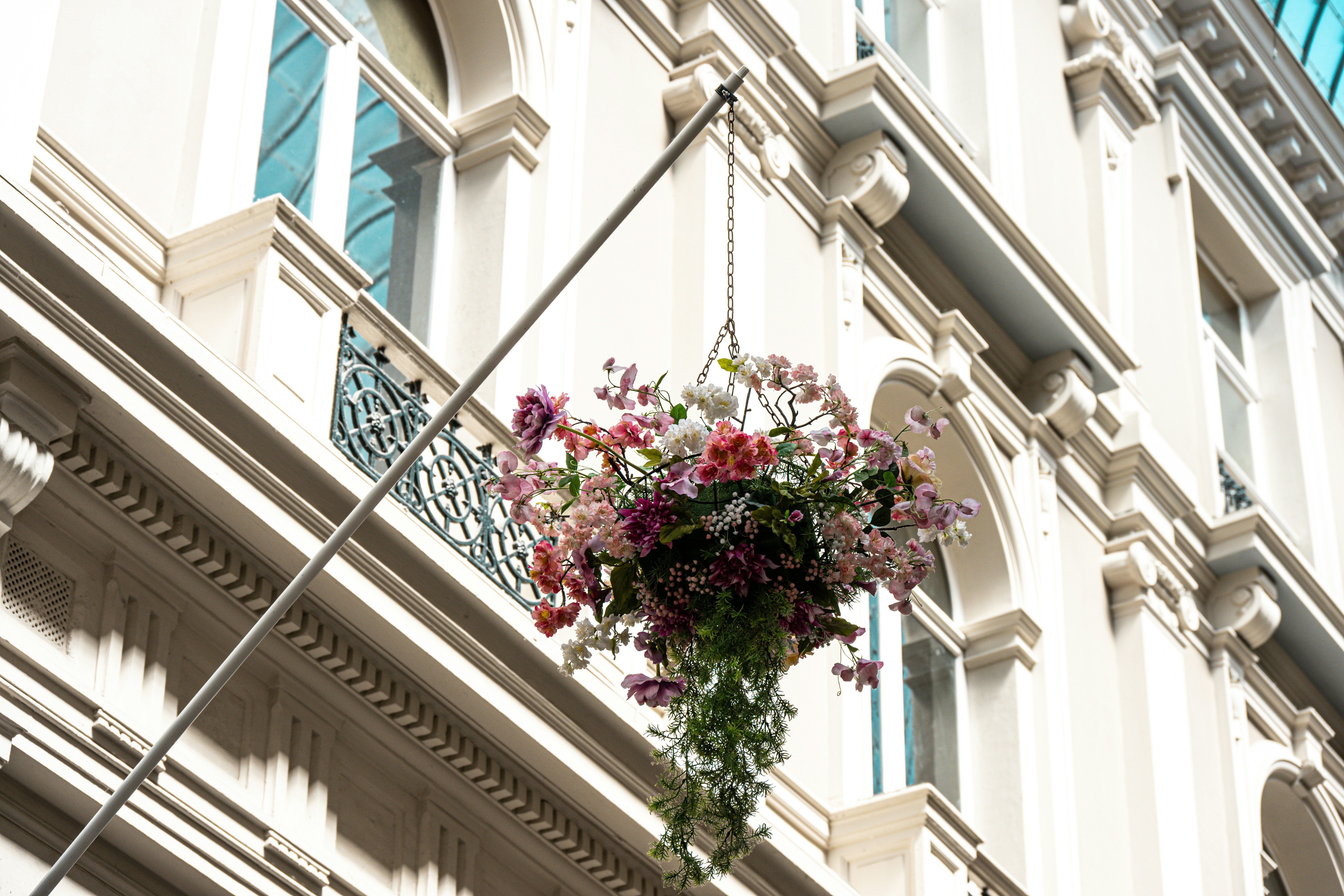 Hanging Garden in a Sunlit Facade