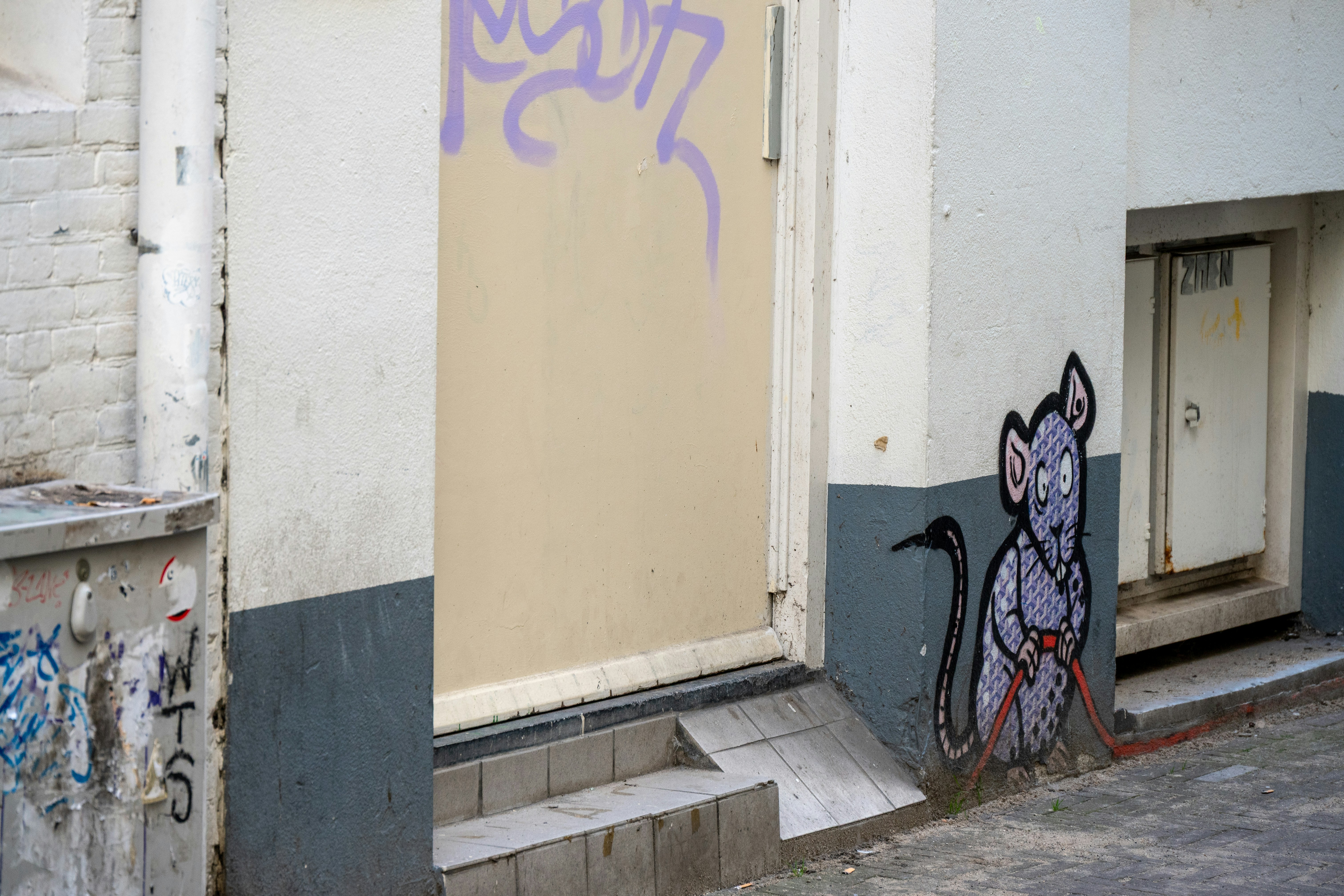 Graffiti Cat by the Doorstep