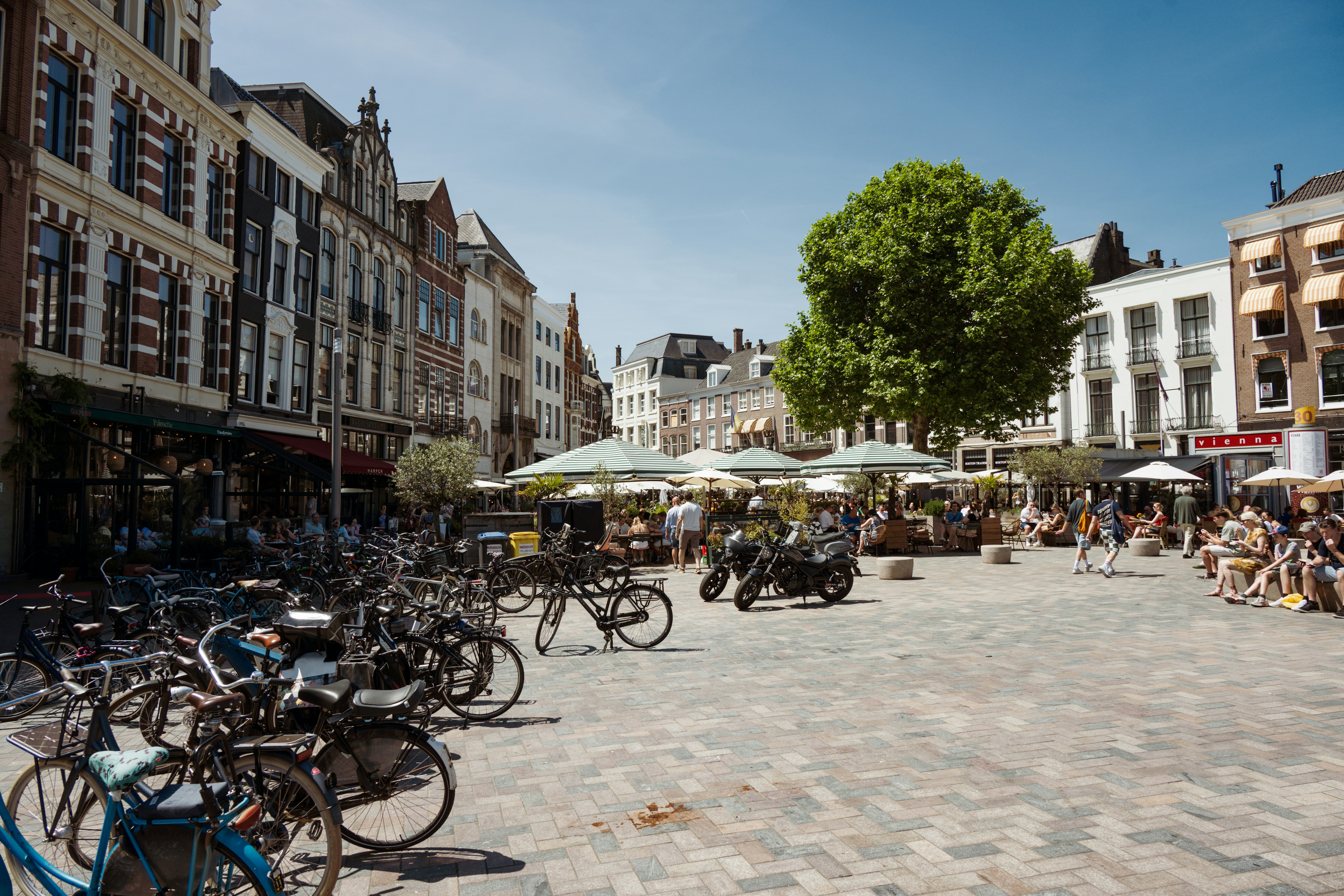 A sunlit European Plaza: bicycles, cafés, and a lively street scene