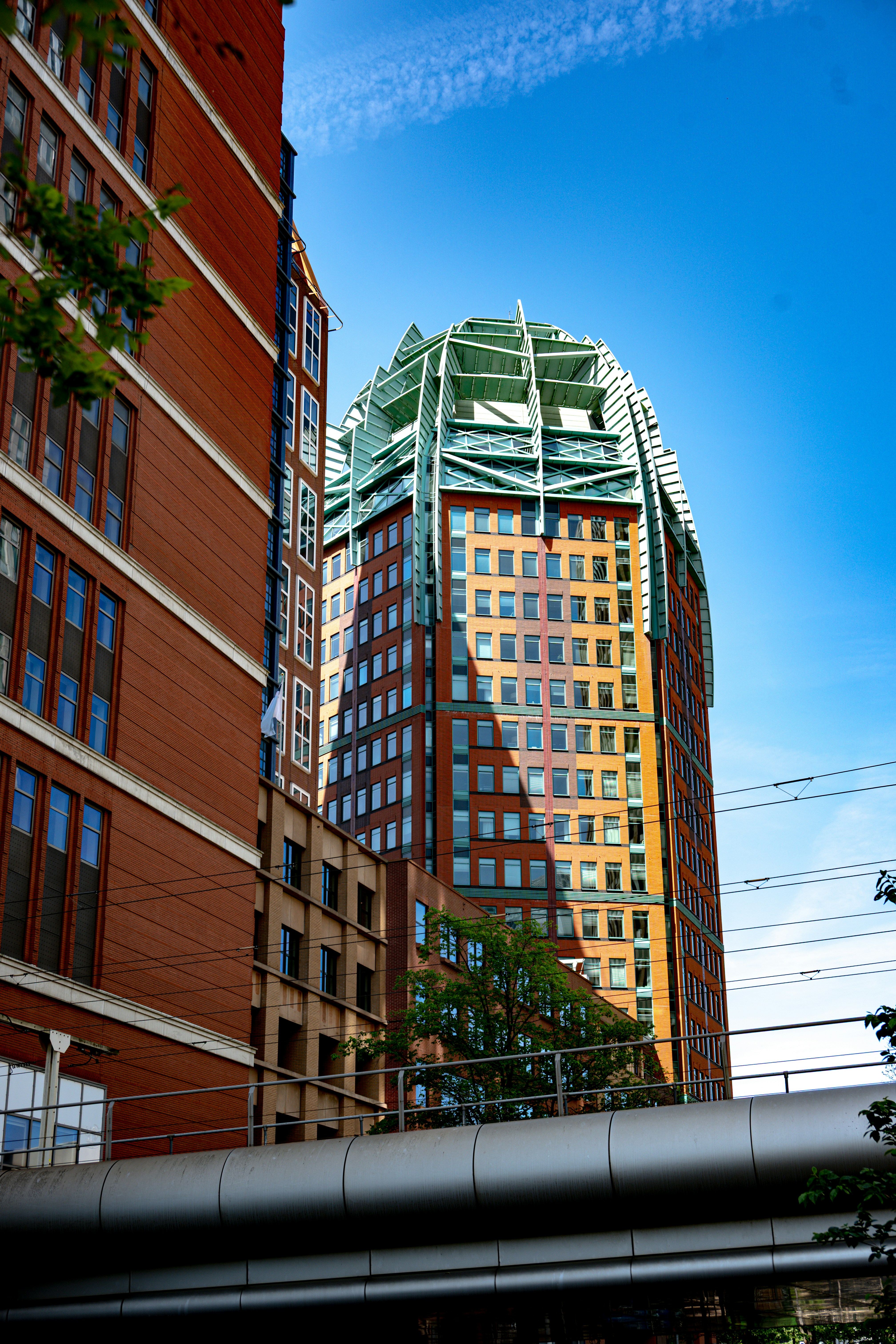 Crowned by glass and steel: a curving high-rise slicing through a blue sky