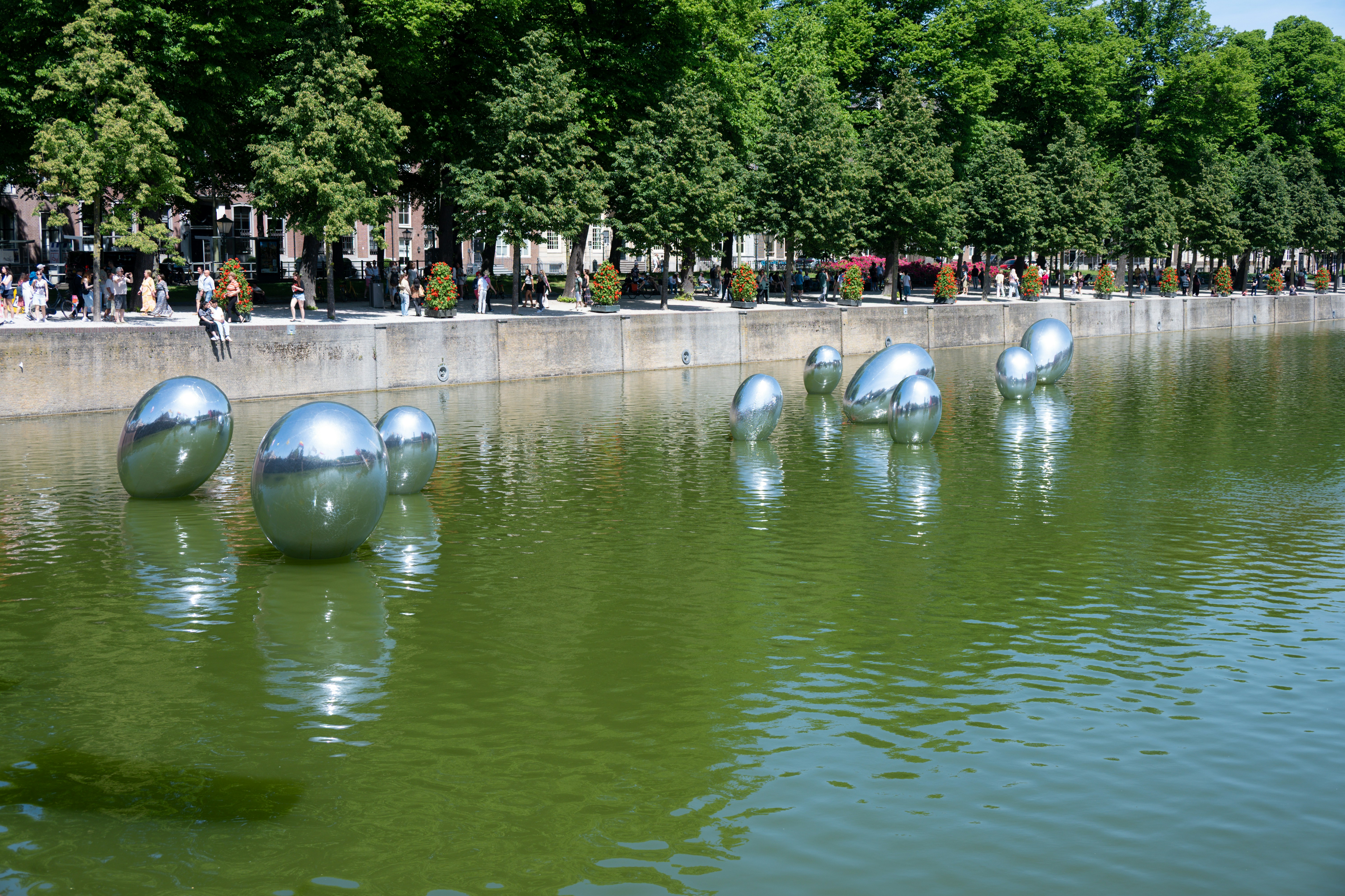 Floating Mirrors: Metallic Orbs Quietly Anchored in a City Pond
