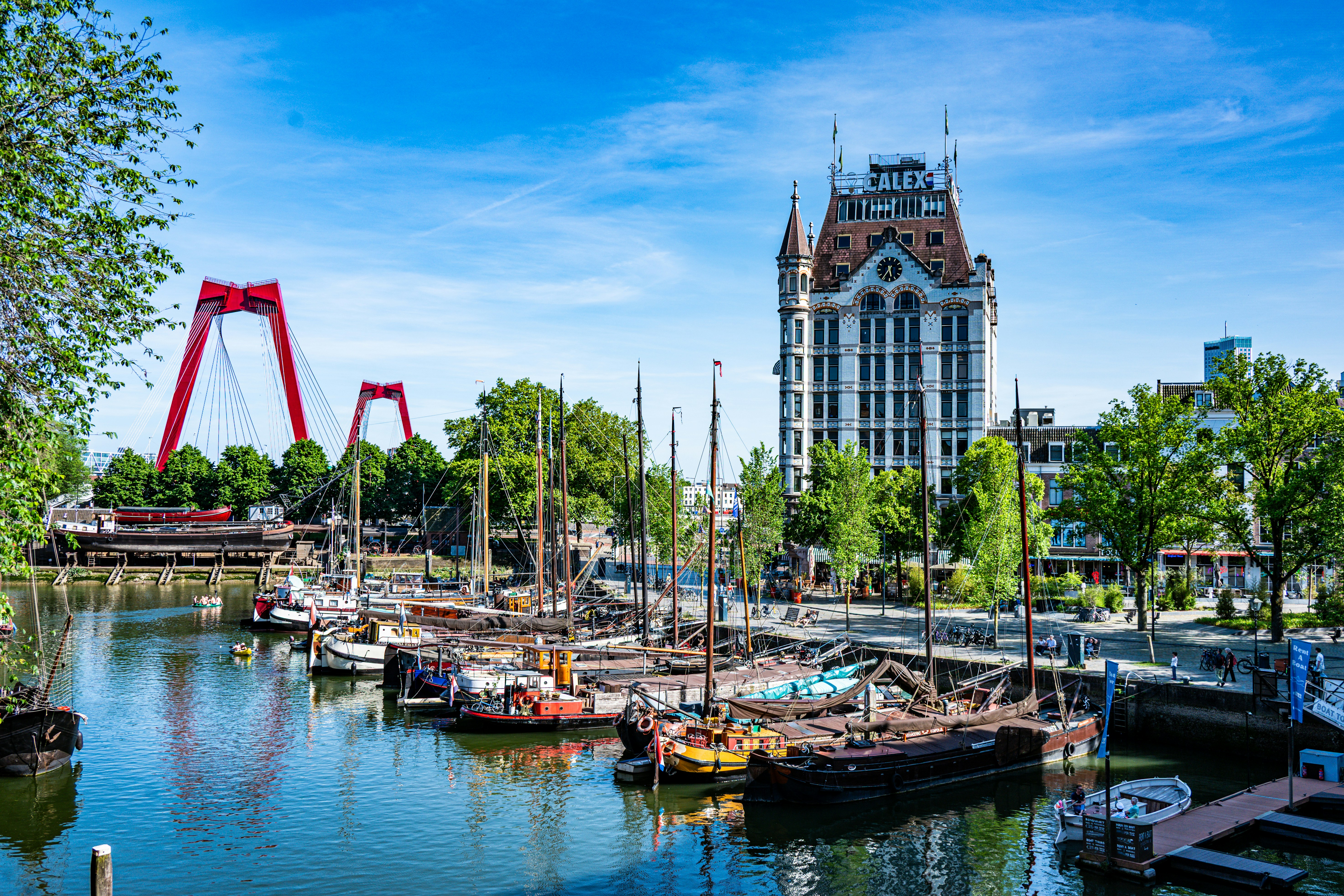 Harbor Lights: Sails, Steel, and a Cityscale Castle