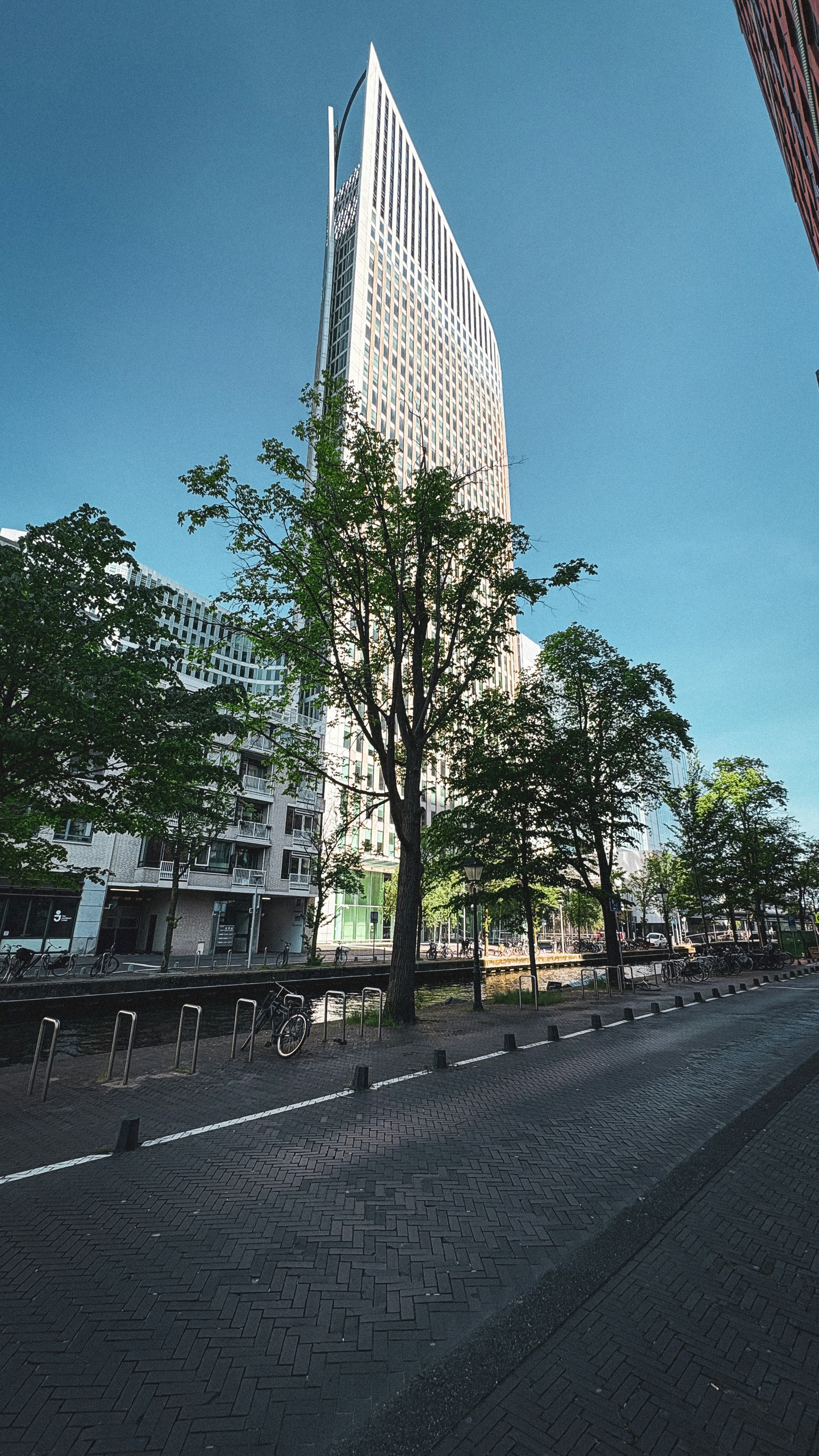 Spear of Glass: A Skyscraper Rising Over a Tree-Lined Boulevard