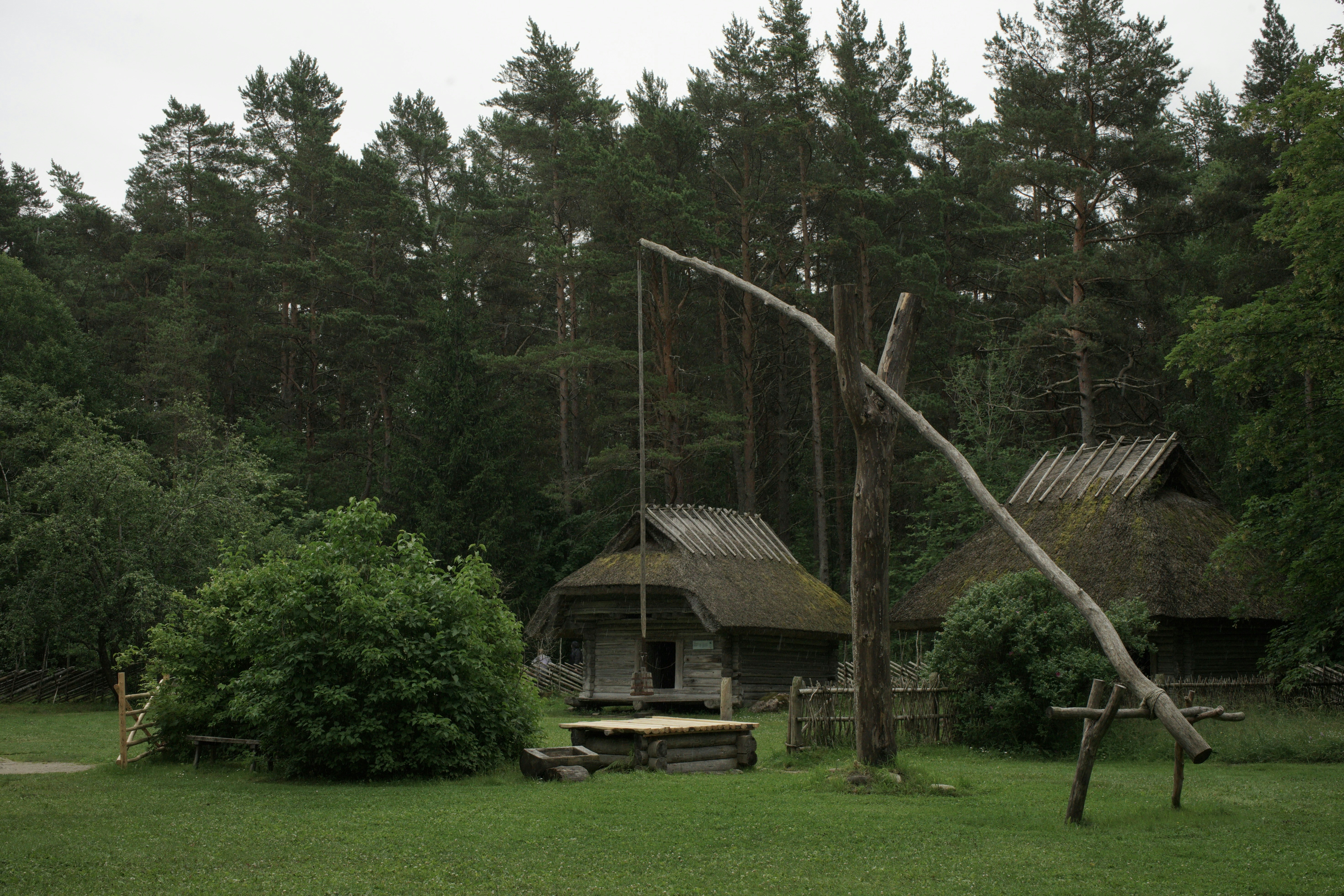 Village Glade with Timber Swing and Thatched Cabins
