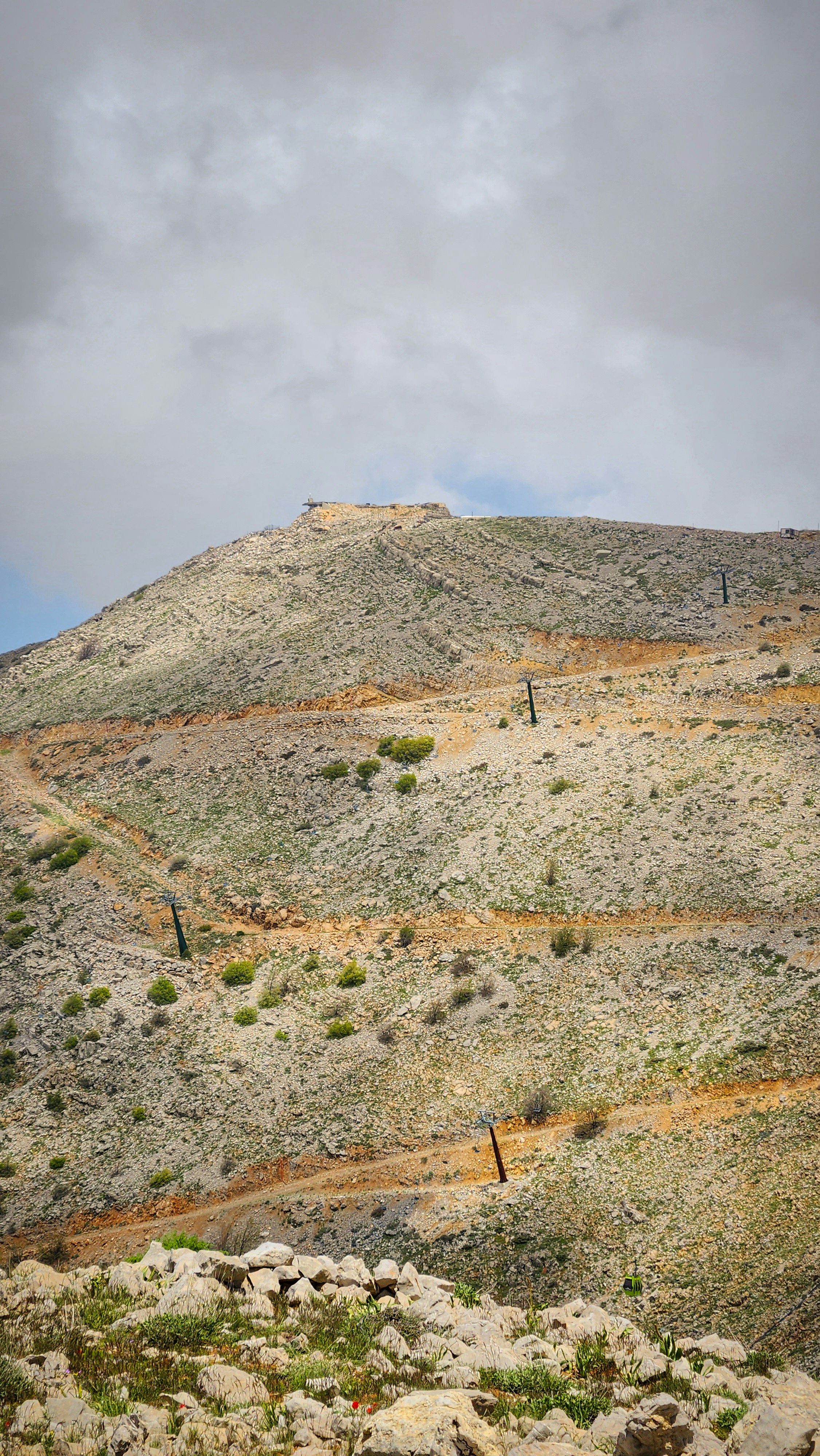 Terraced Hillscape with Weathered Fence Posts
