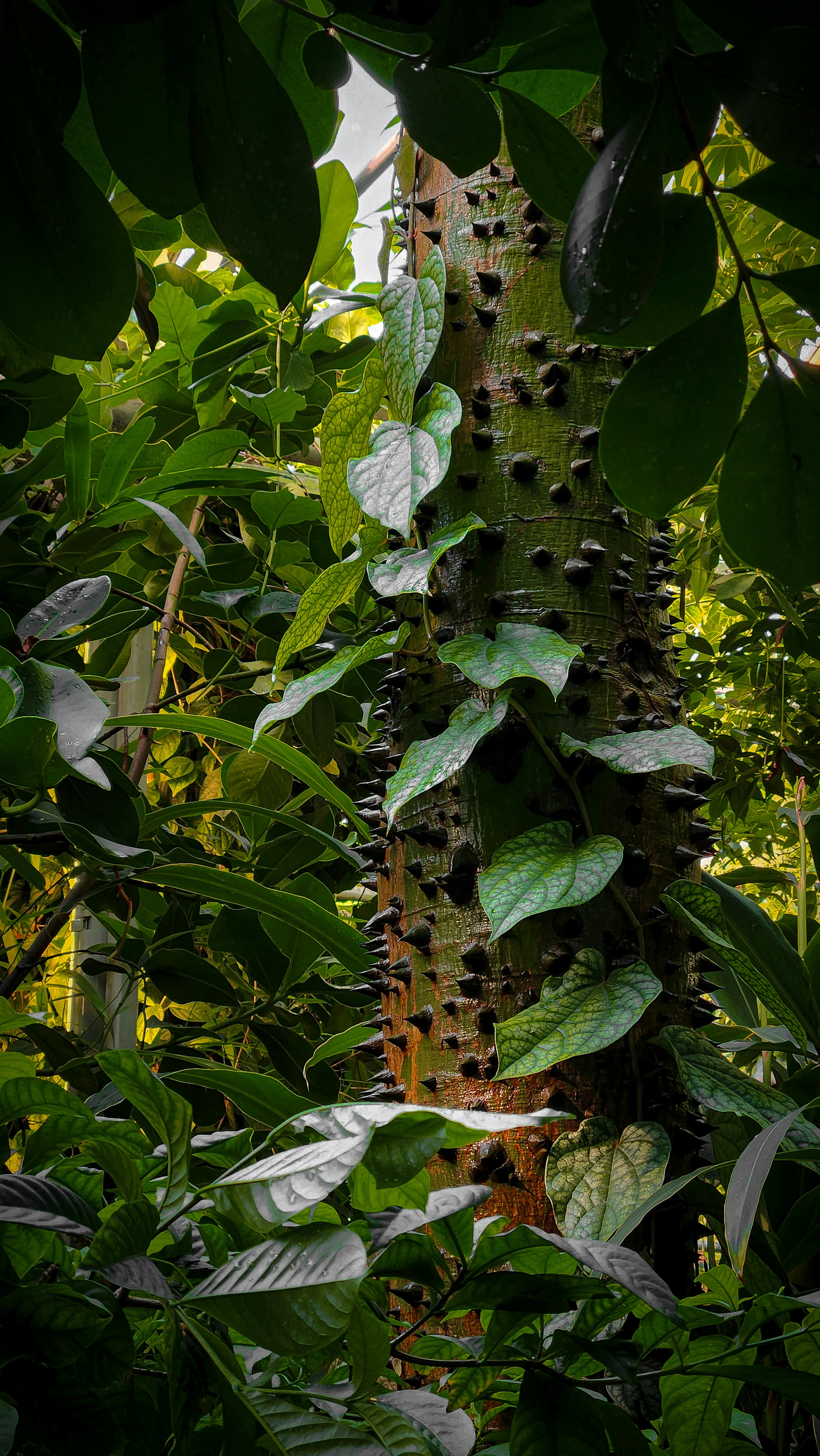 Verdant Trunk: A Lime-Feathered Wall of Vines and Spires