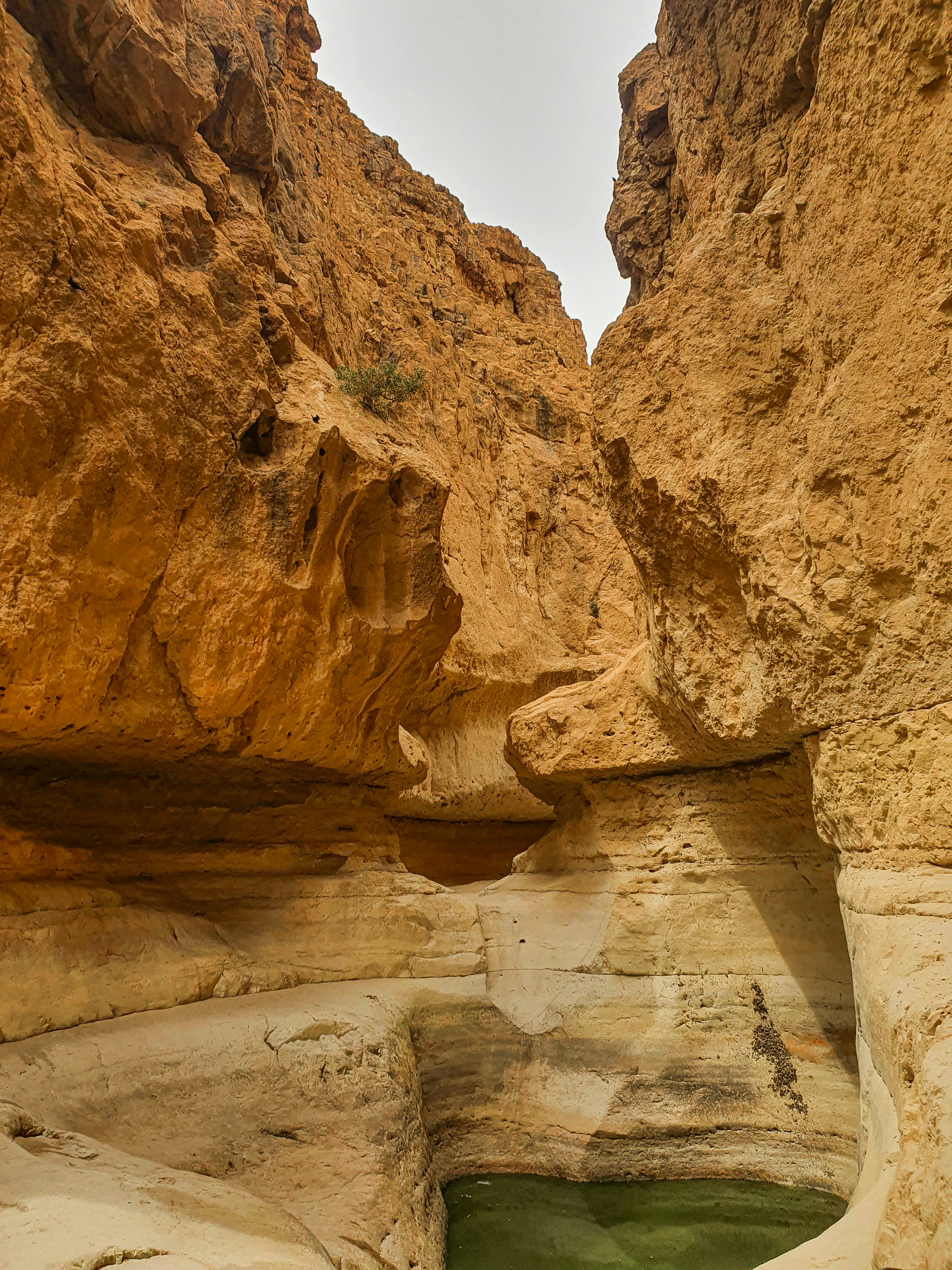 Sunlit Gorge: Weathered sandstone carving and emerald pool